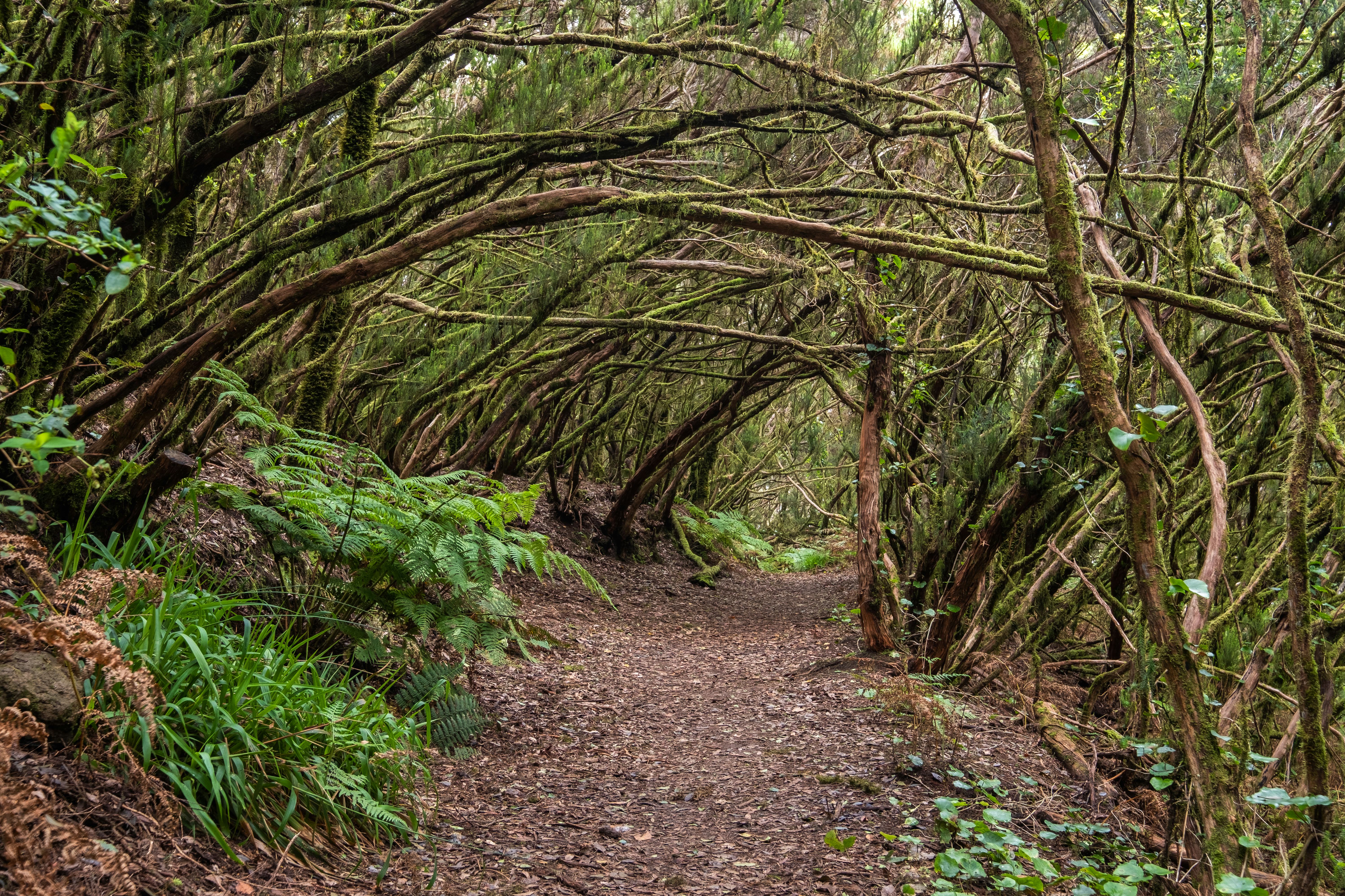 8 Urban Legends About Disney Parks, And Where They Came From