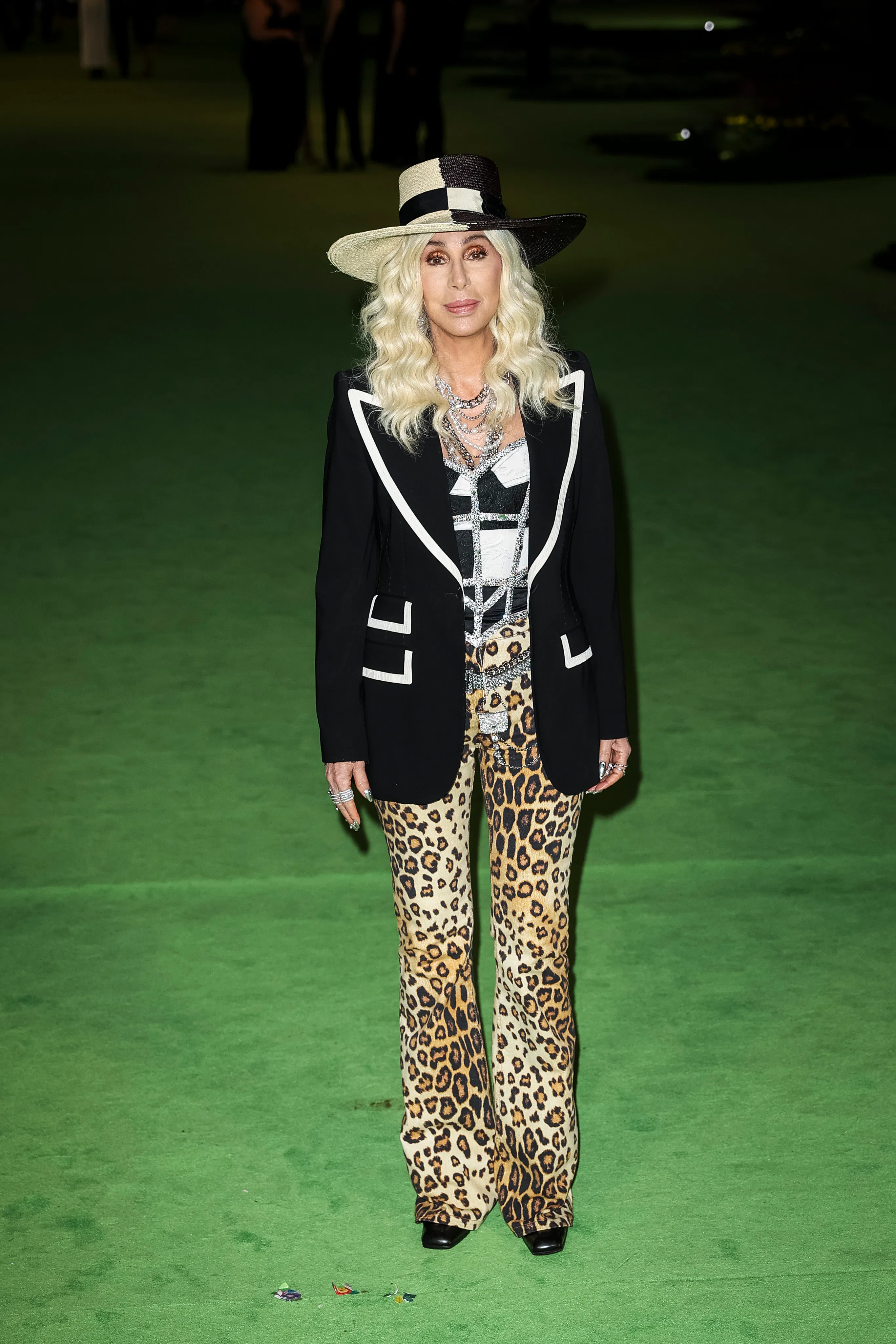 Cher Reveals She Would Never Go Gray.