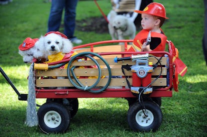 15 Halloween Wagon Decorations You Can DIY Or Buy Off The Shelf