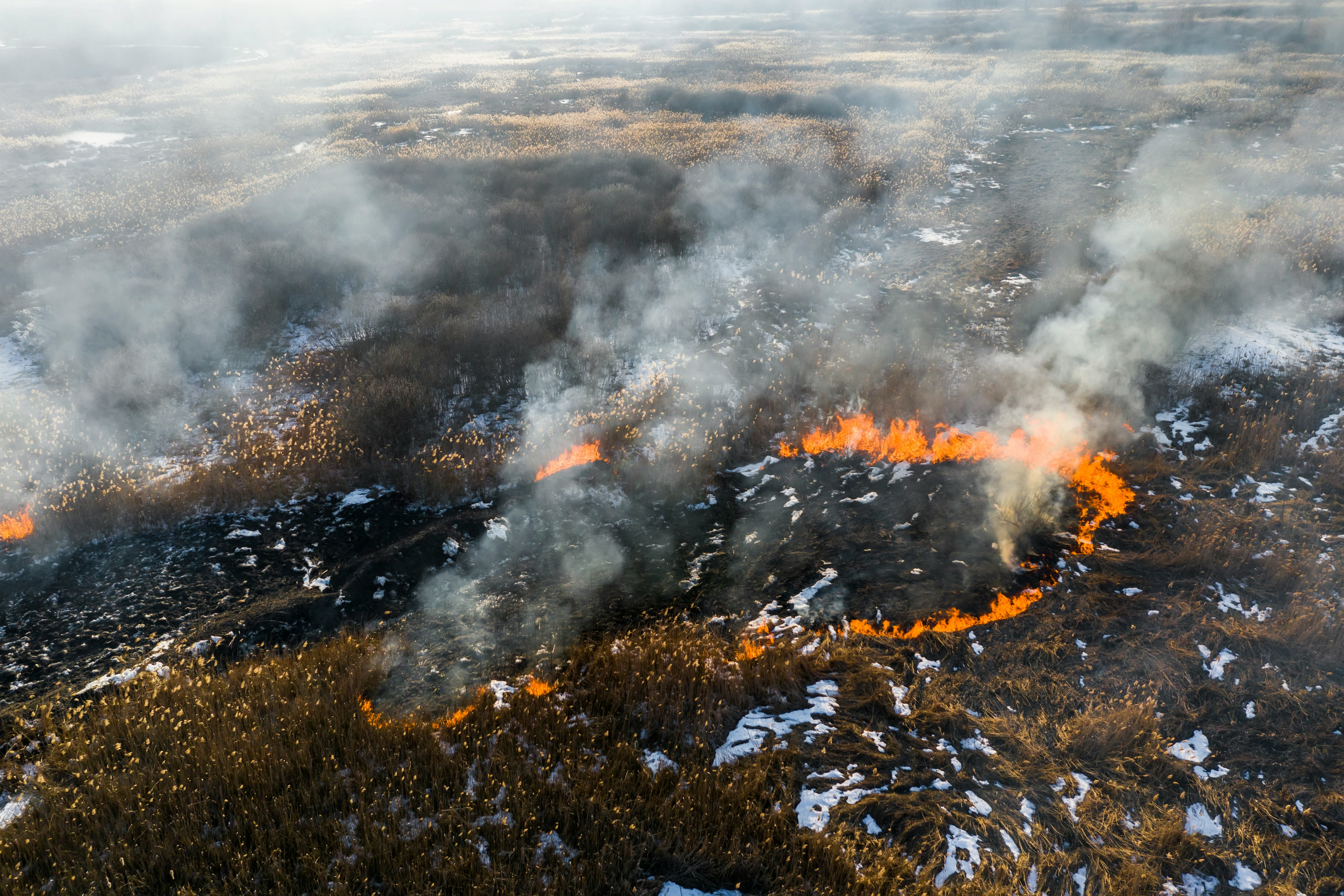 Look! The Siberian Arctic is on fire and the impact could be devastating