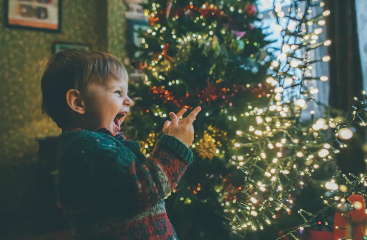 101 Christmas Tree Instagram Captions From Movies, Poems, & More