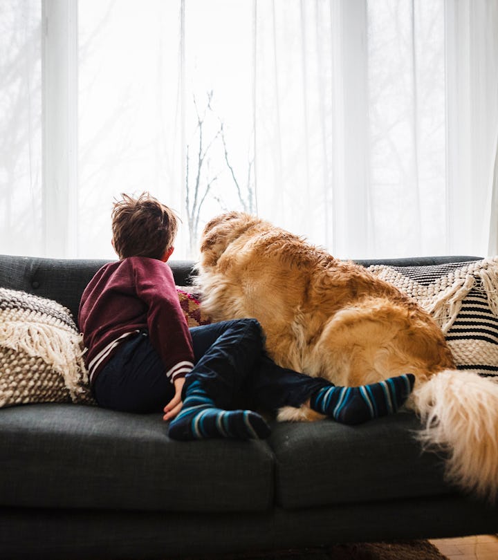 Comforting Sayings For When Someone Loses A Pet comforting-sayings-for-when-someone-loses-a-pet