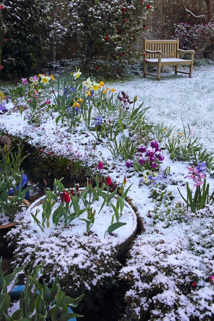 9 Winter Gardening Tips To Keep In Mind This Season