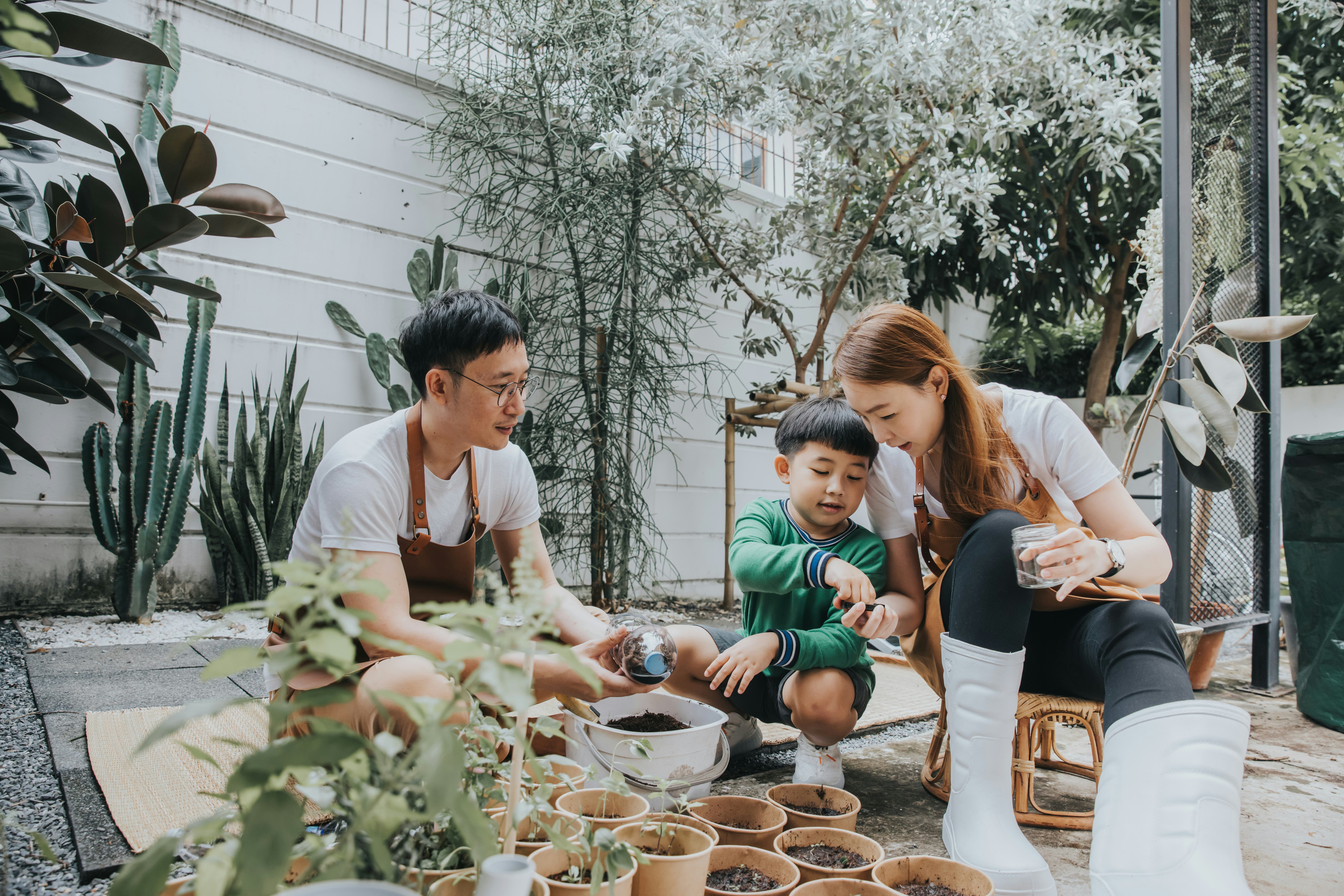 9 Garden Projects To Prep For Spring