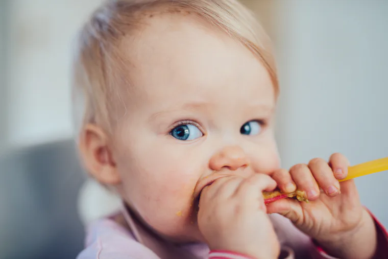 How Long Does Baby Food Last After Opening It How To Reduce Waste How Long Does Baby Food Last After Opening It How To Reduce Waste