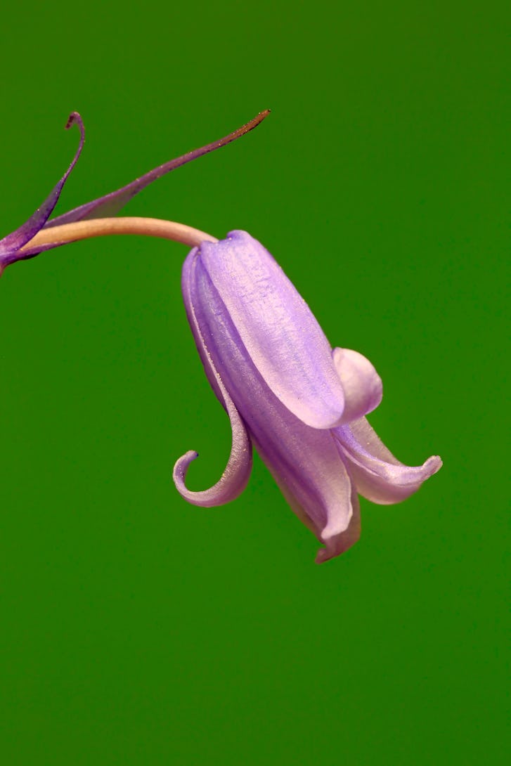 The Spiritual Meaning Of The Spring Equinox, Explained