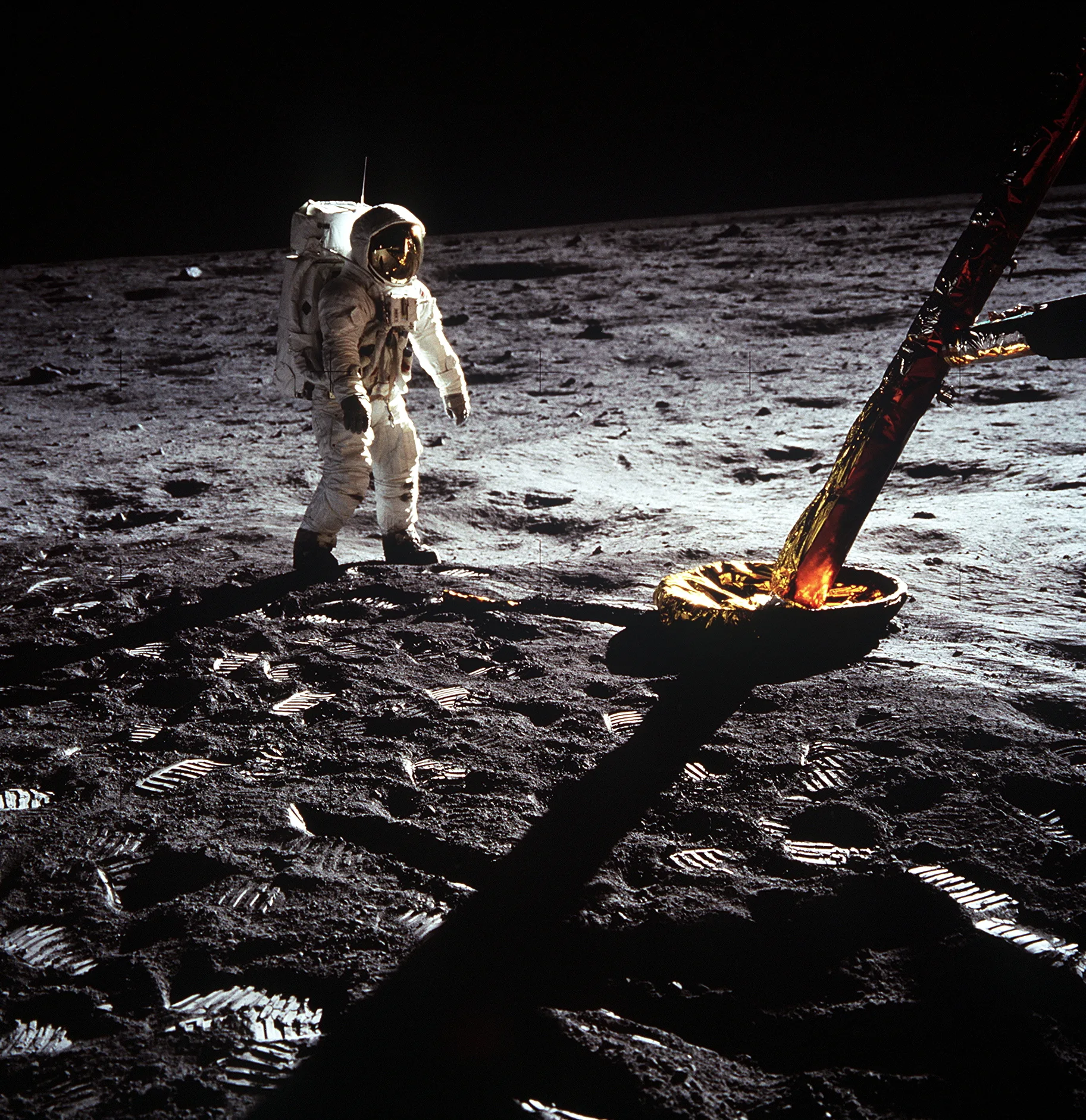NASA opens Apollo Moon sample and more: Understand the world through 7 ...