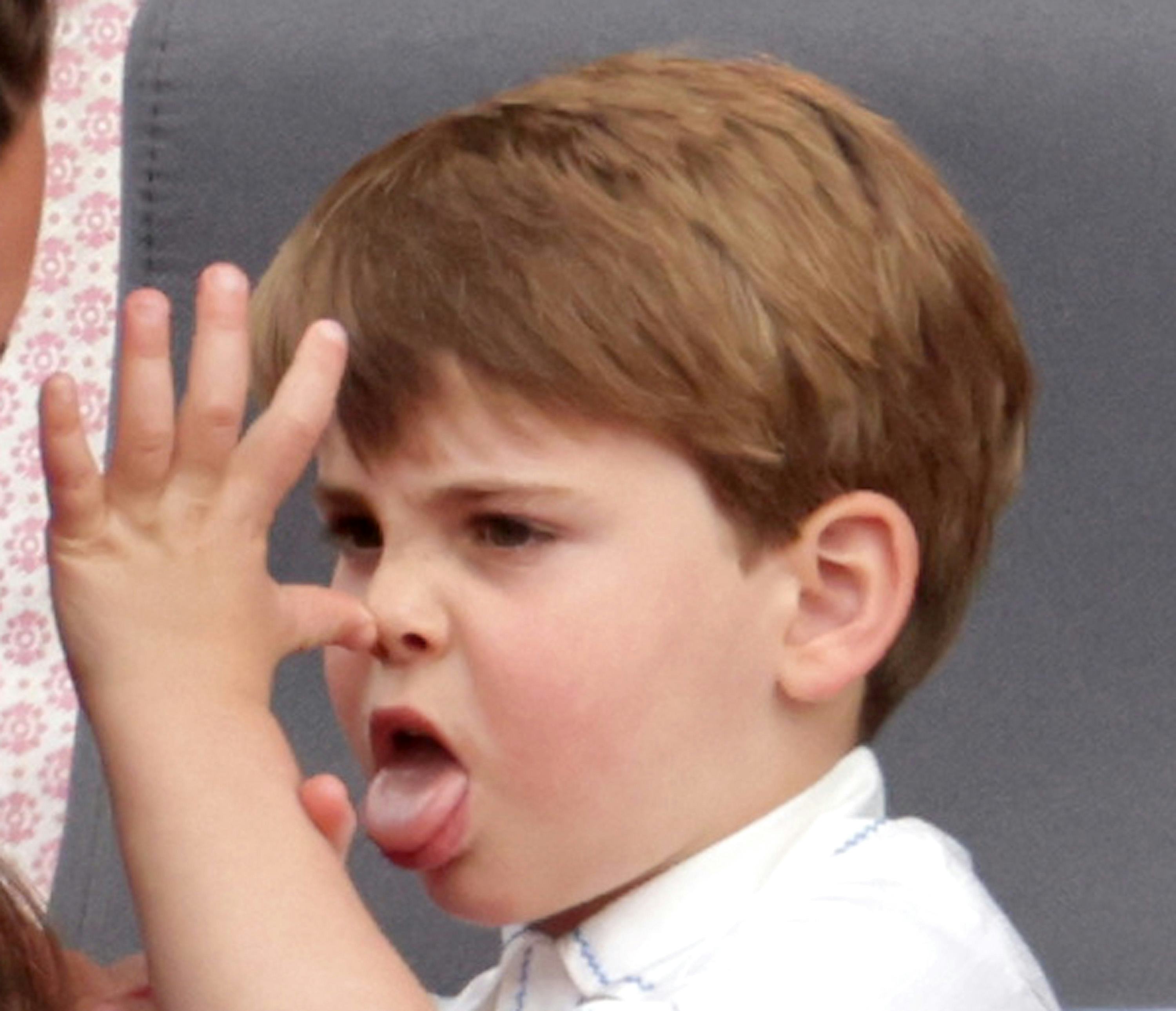15 Prince Louis Faces To Capture Your Every Mood