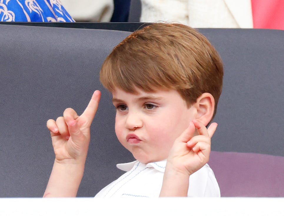 15 Prince Louis Faces To Capture Your Every Mood