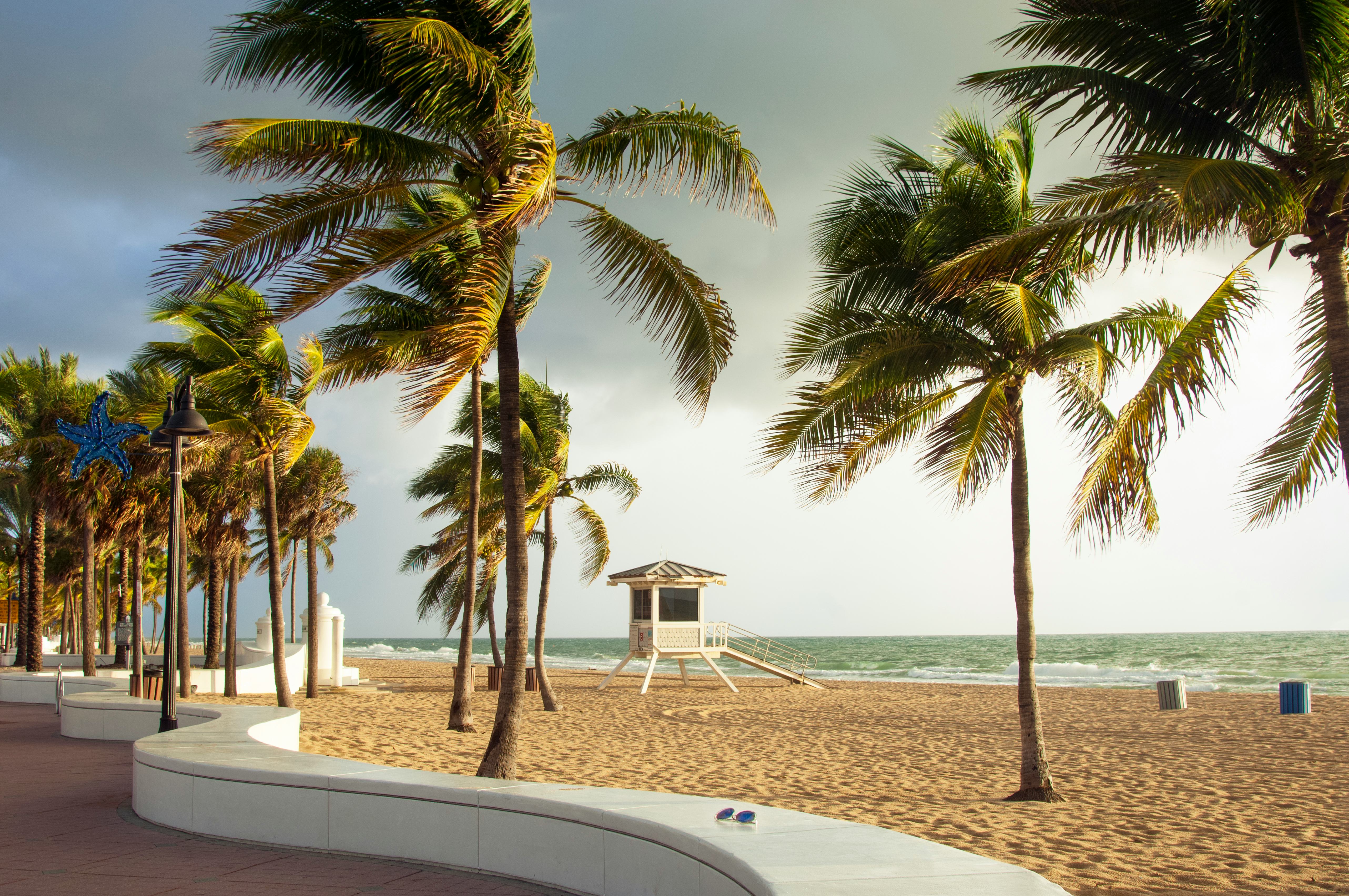 The 10 Most Walkable Cities In Florida To Explore The Sunshine State ...