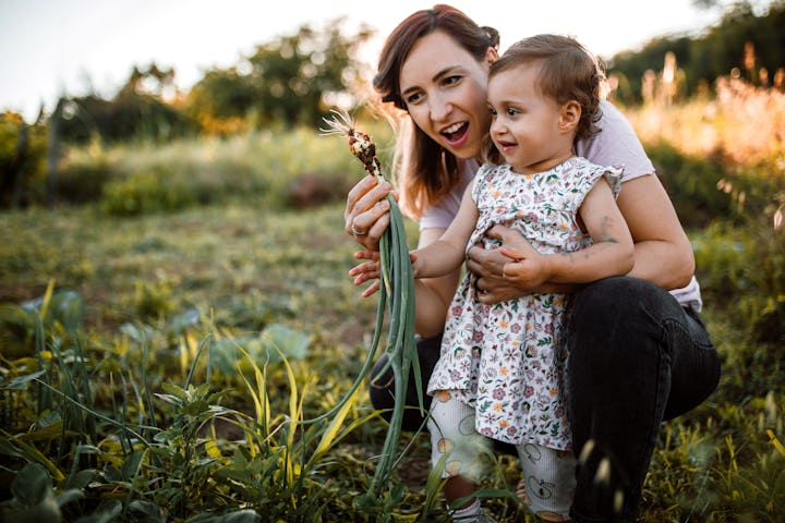 These 18 Genius Gardening Tools Will Make Your Chores Way Easier