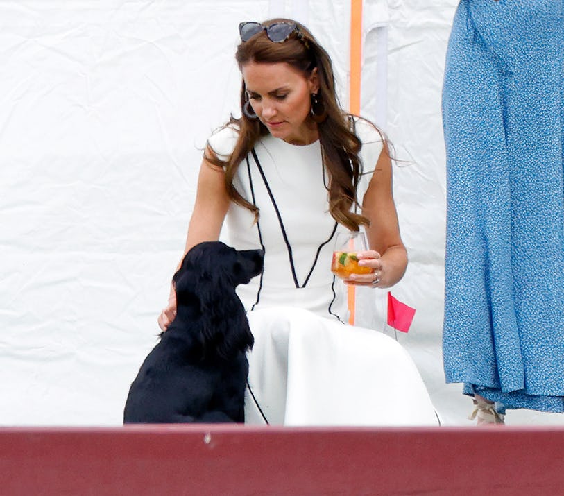 Sweet Photos Of Kate Middleton & Prince William’s Puppy's Debut