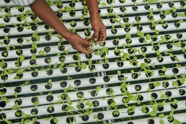 Can we terraform Mars? Scientists may have made a major breakthrough