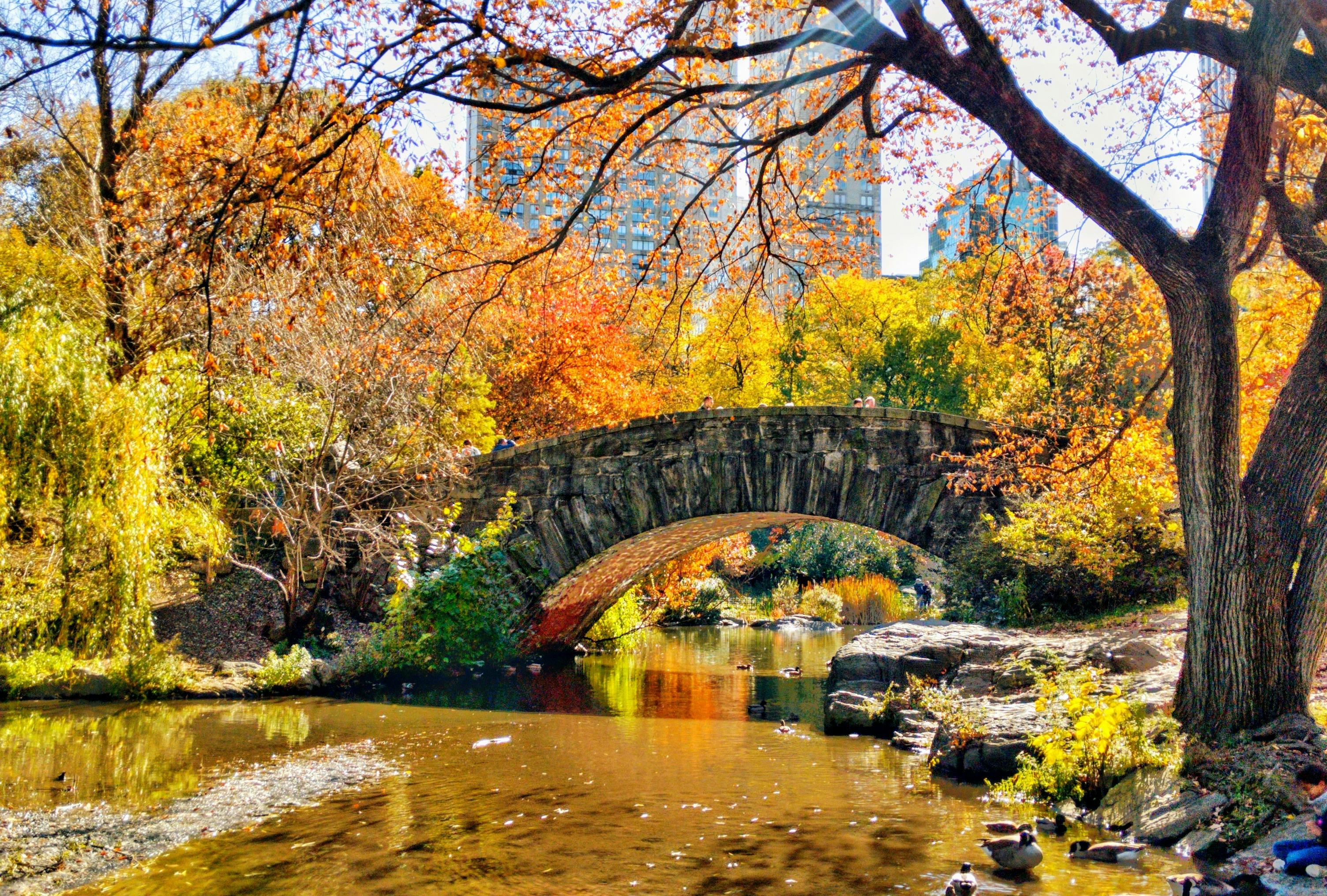 Here Are The 10 Best Places To See Fall Foliage in 2022 For A Leaf ...