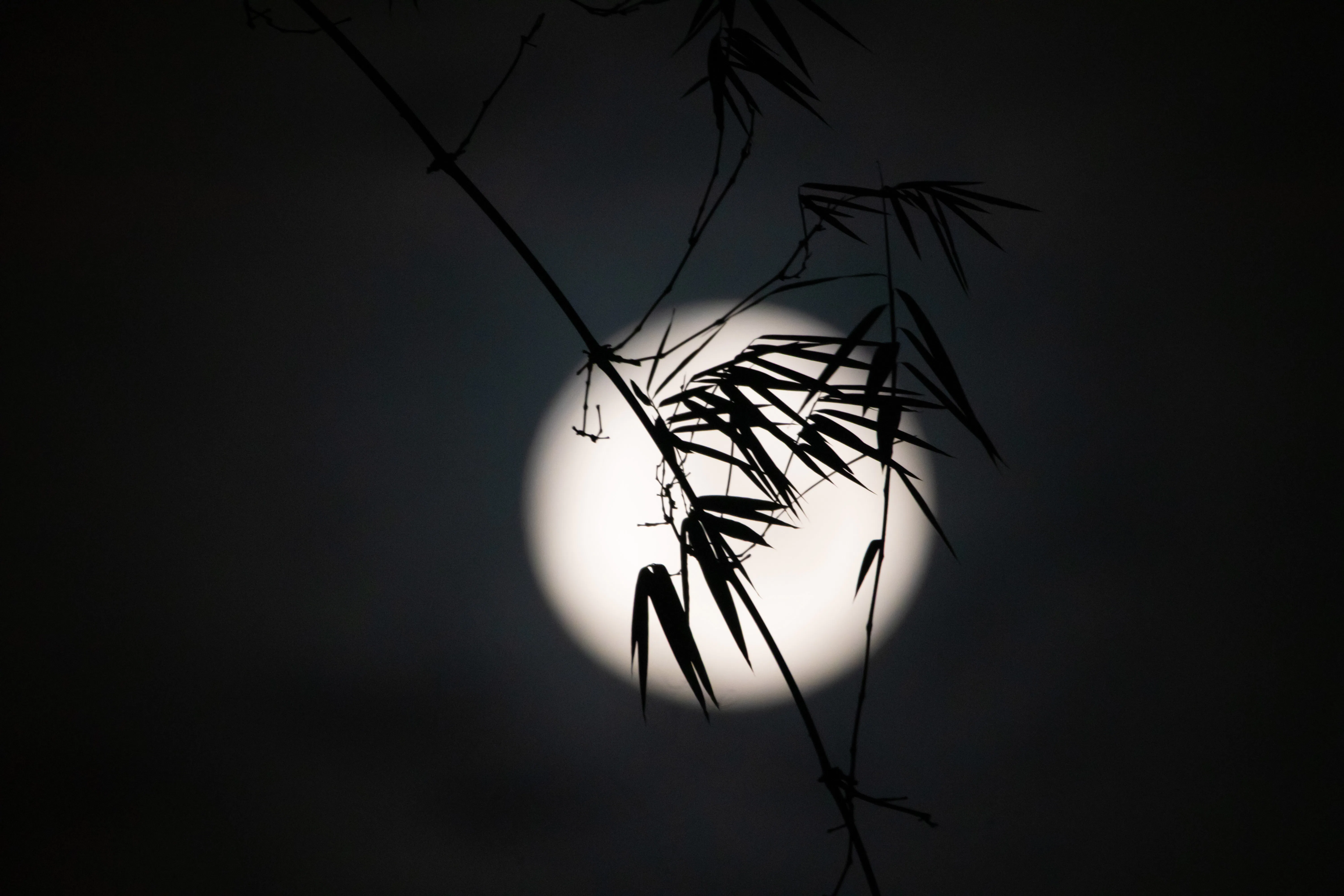 Harvest Moon 2022: 10 incredible views of this weekend's lunar event