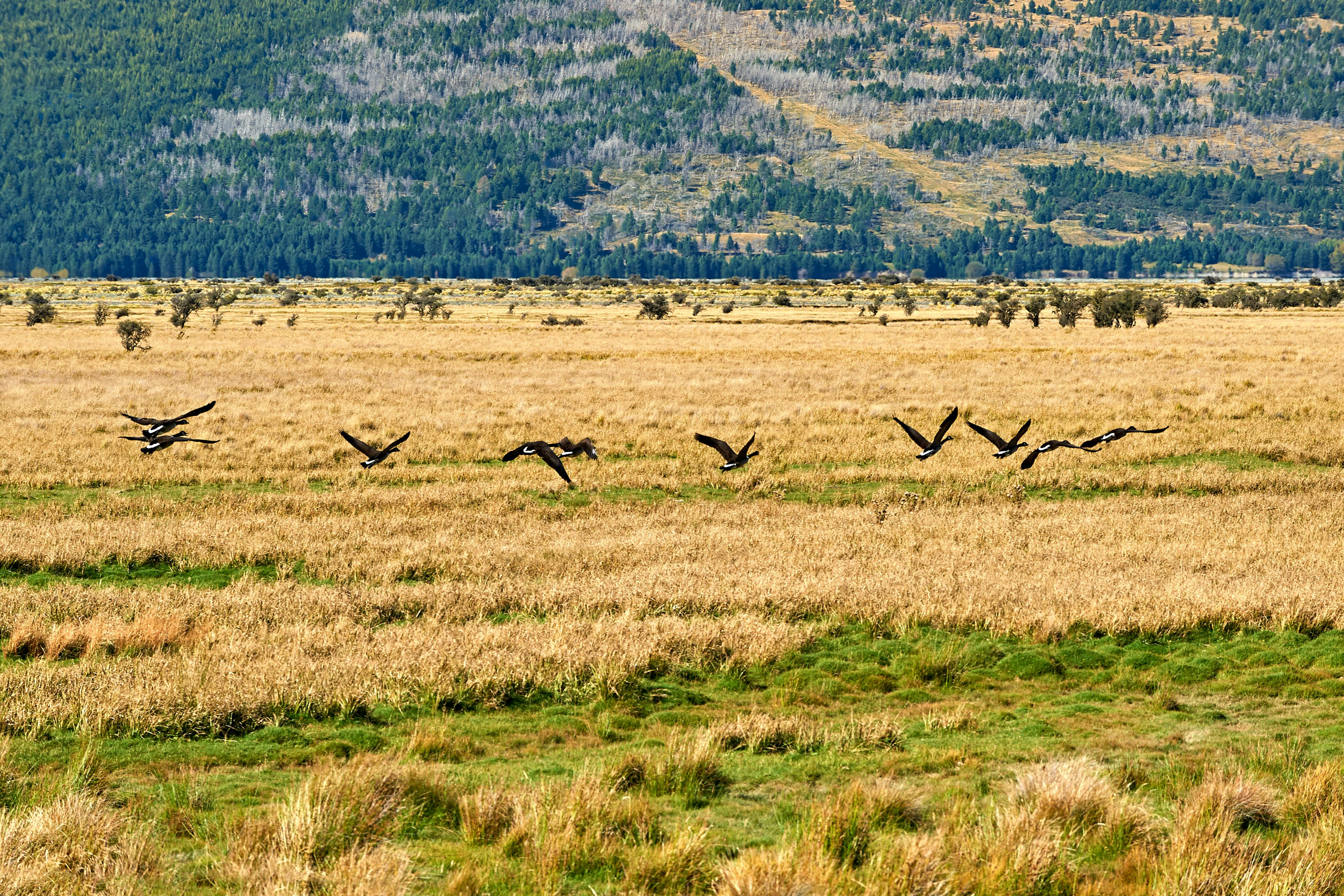 36 Fall Fall Activities for Kids That Are Unique And Unforgettable