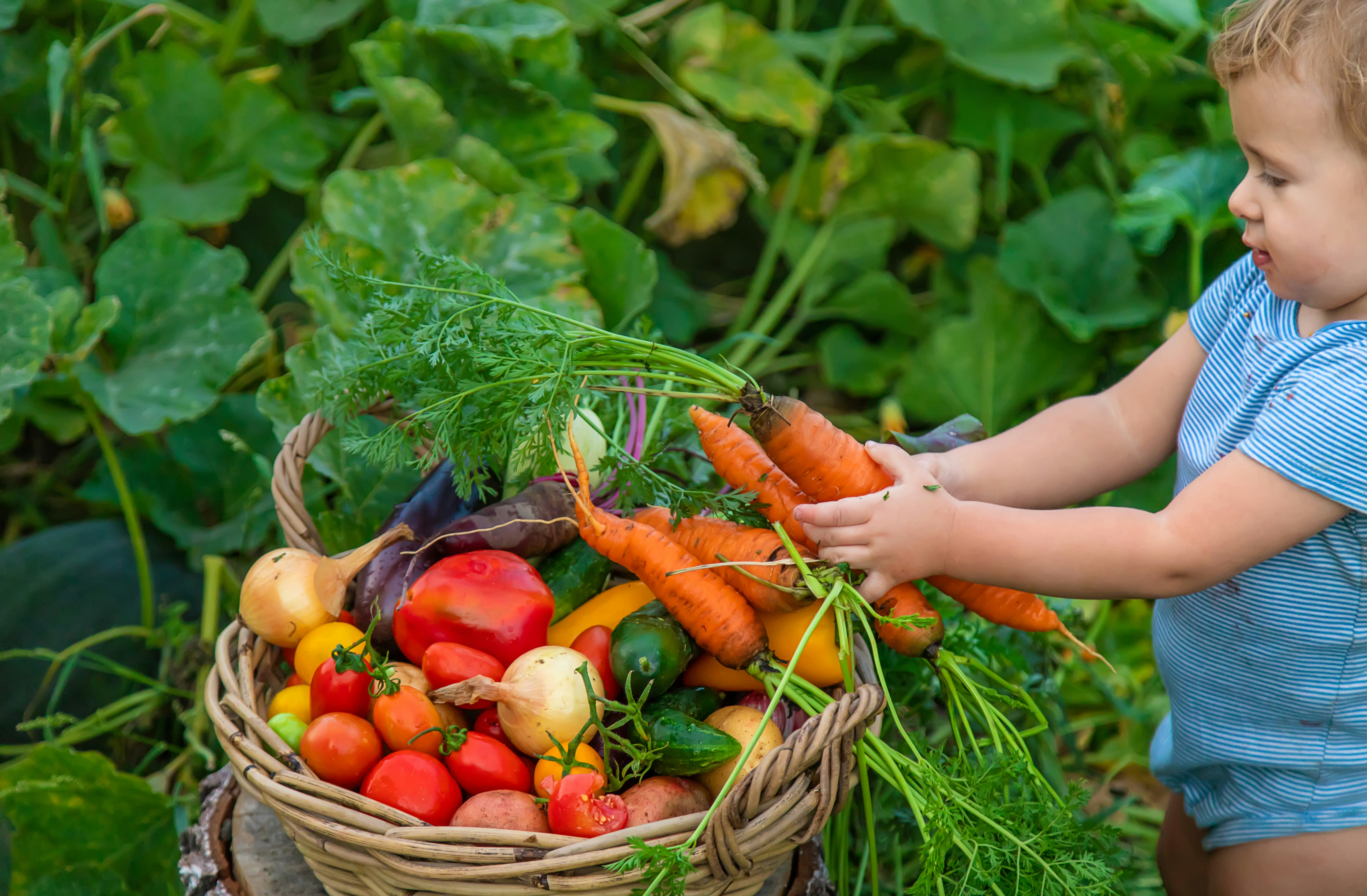 10 Fall Vegetables To Grow At Home