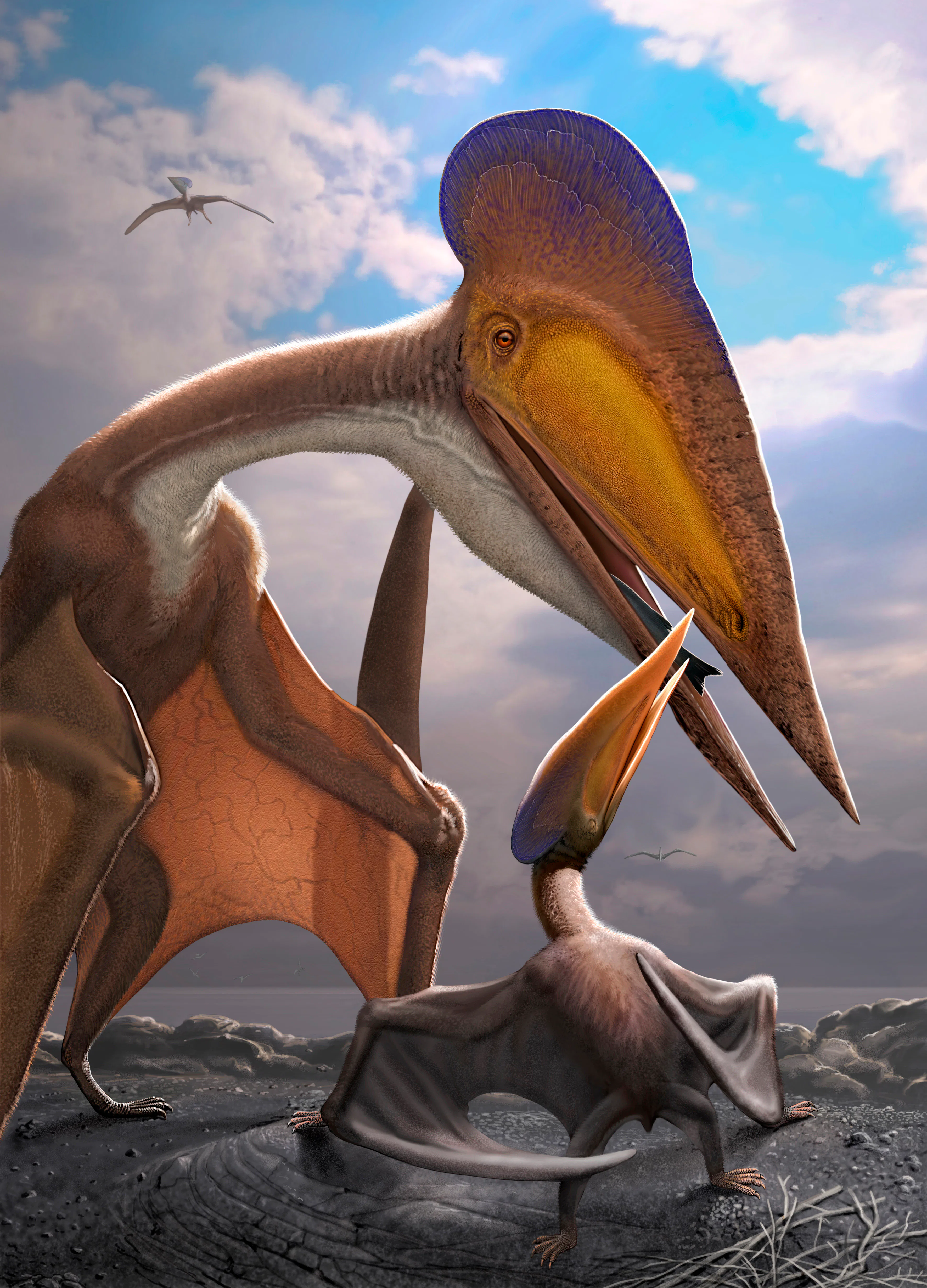 Look: Pterosaur ate like a whale with a mouth full of hooked teeth