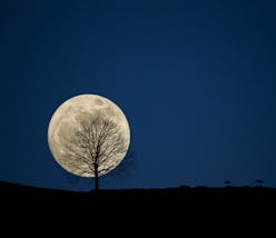 How October 28's Full Hunter’s Moon Affects Each Zodiac Sign