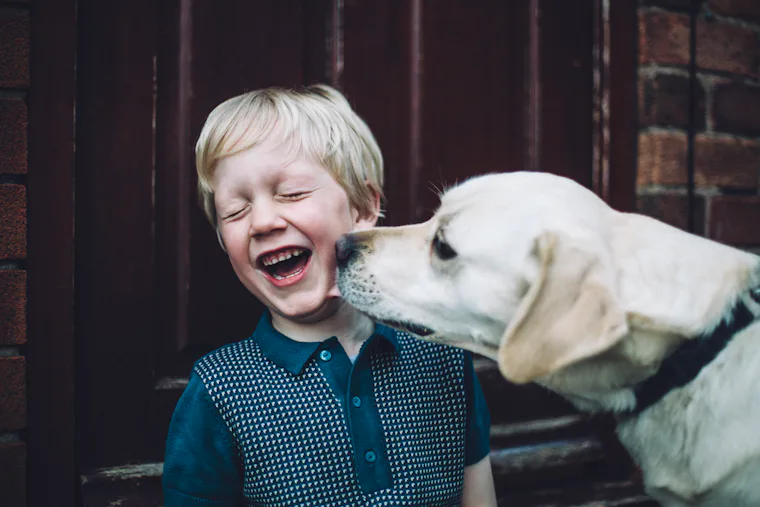 Signs Your Pet Is Stressed By Your Baby & What To Do About It