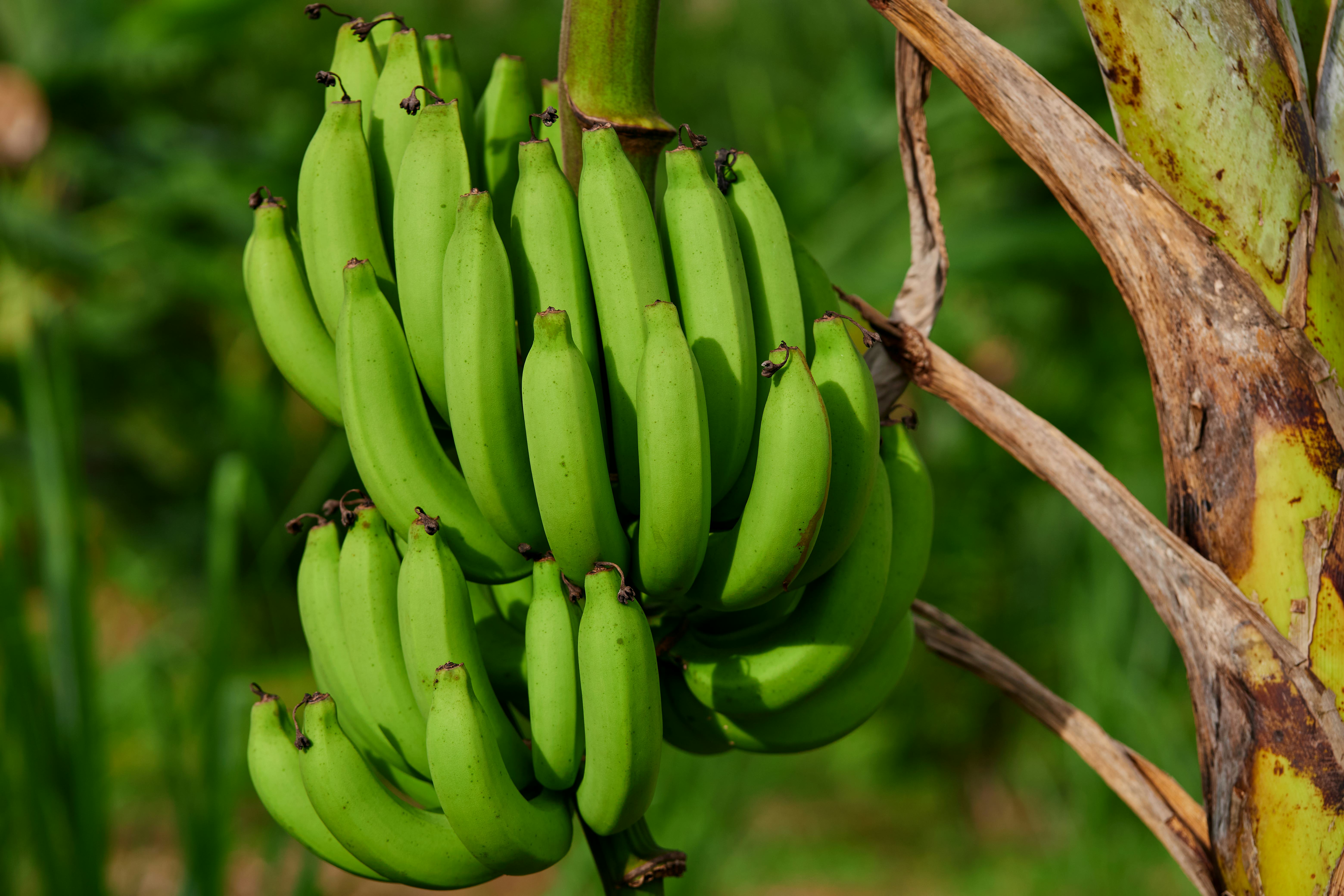 11 Foods That Can Make You Constipated & Mess Up Your Regularity