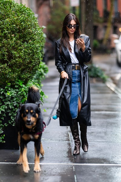 Dog Walks Are The New Catwalks, According To The Most Stylish Celebs