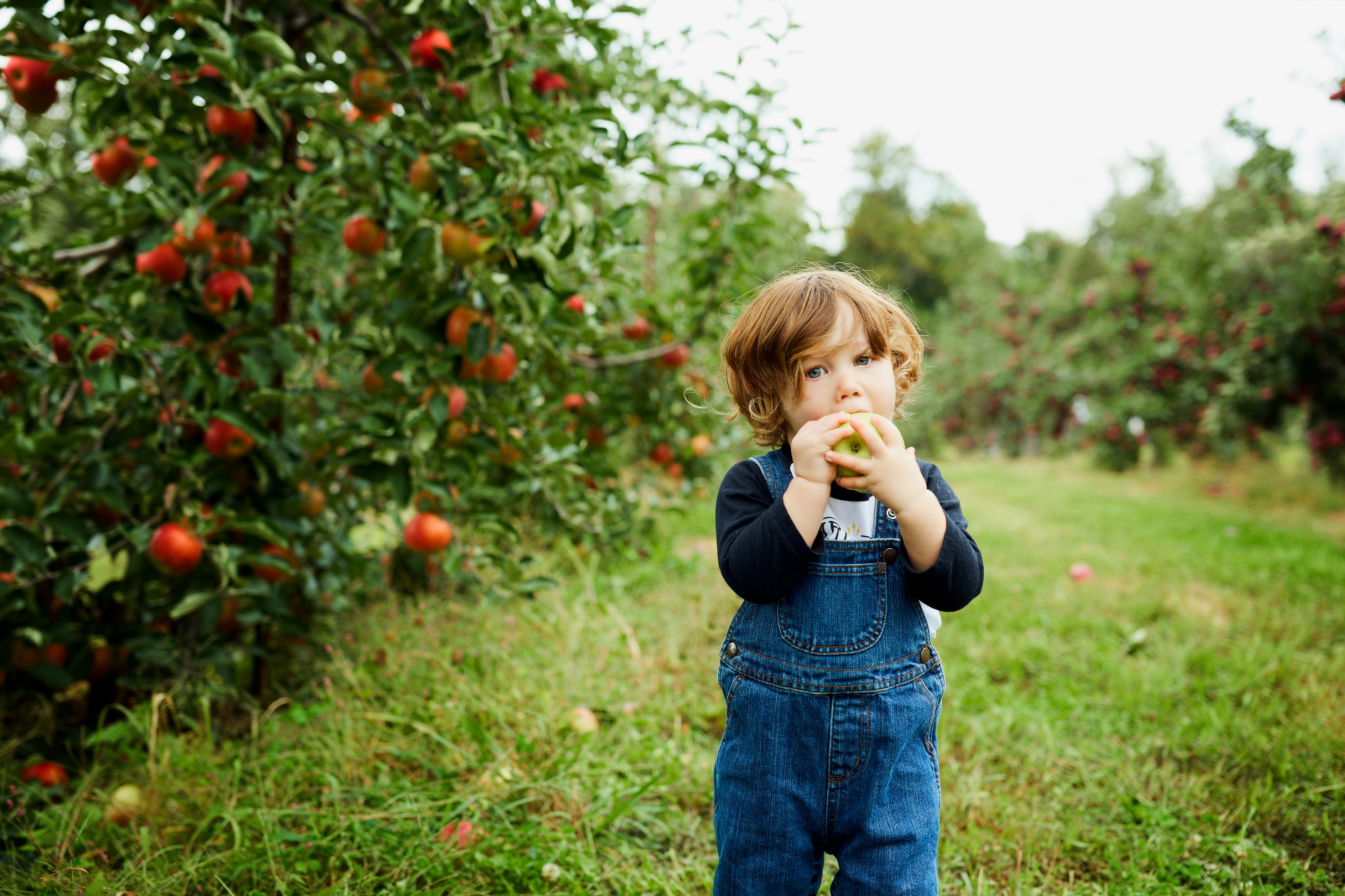 25 Fruit Baby Names For The Apple Of Your Eye