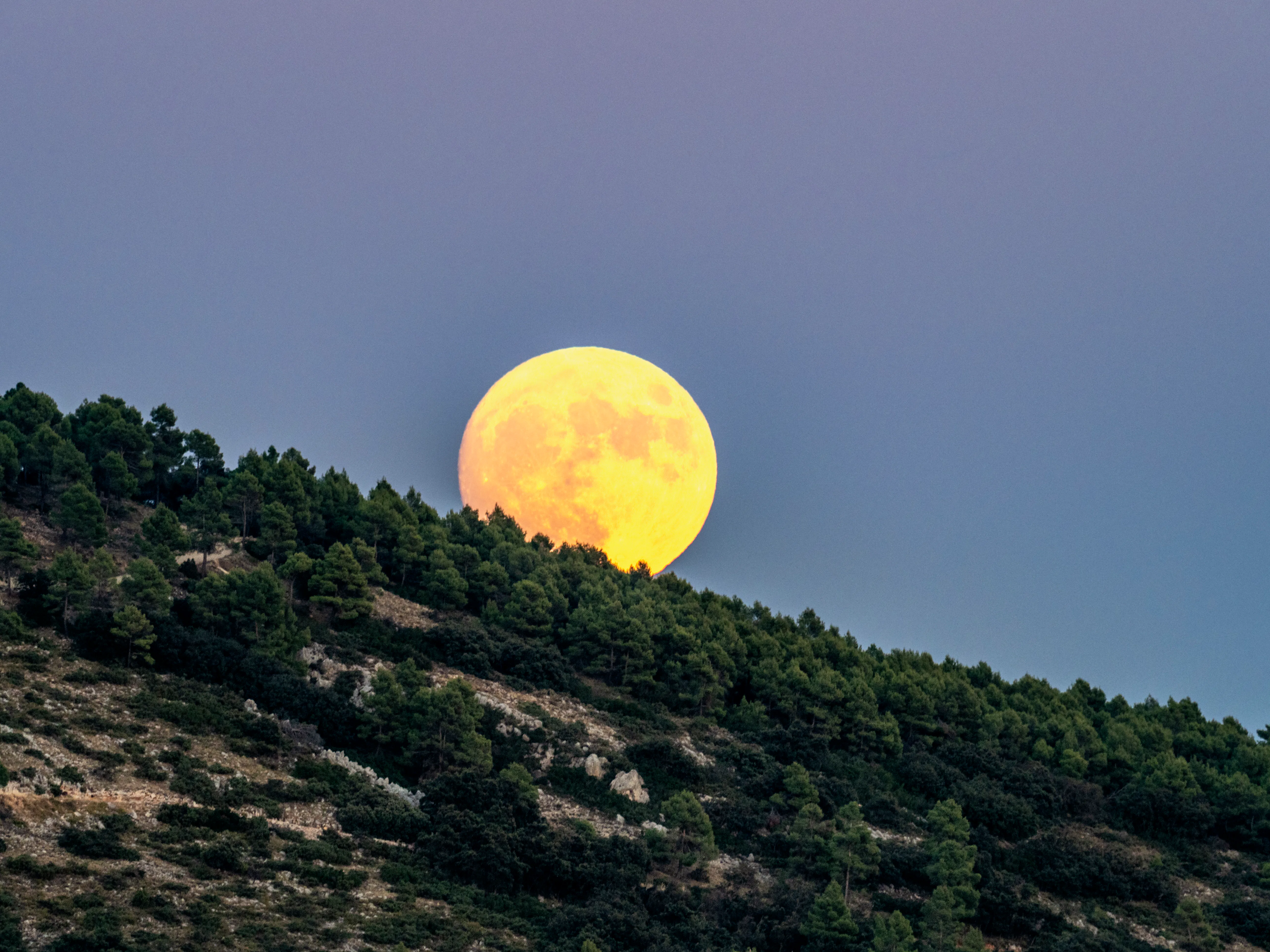 The March 2023 Full Worm Moon Will Affect 4 Zodiac Signs Most