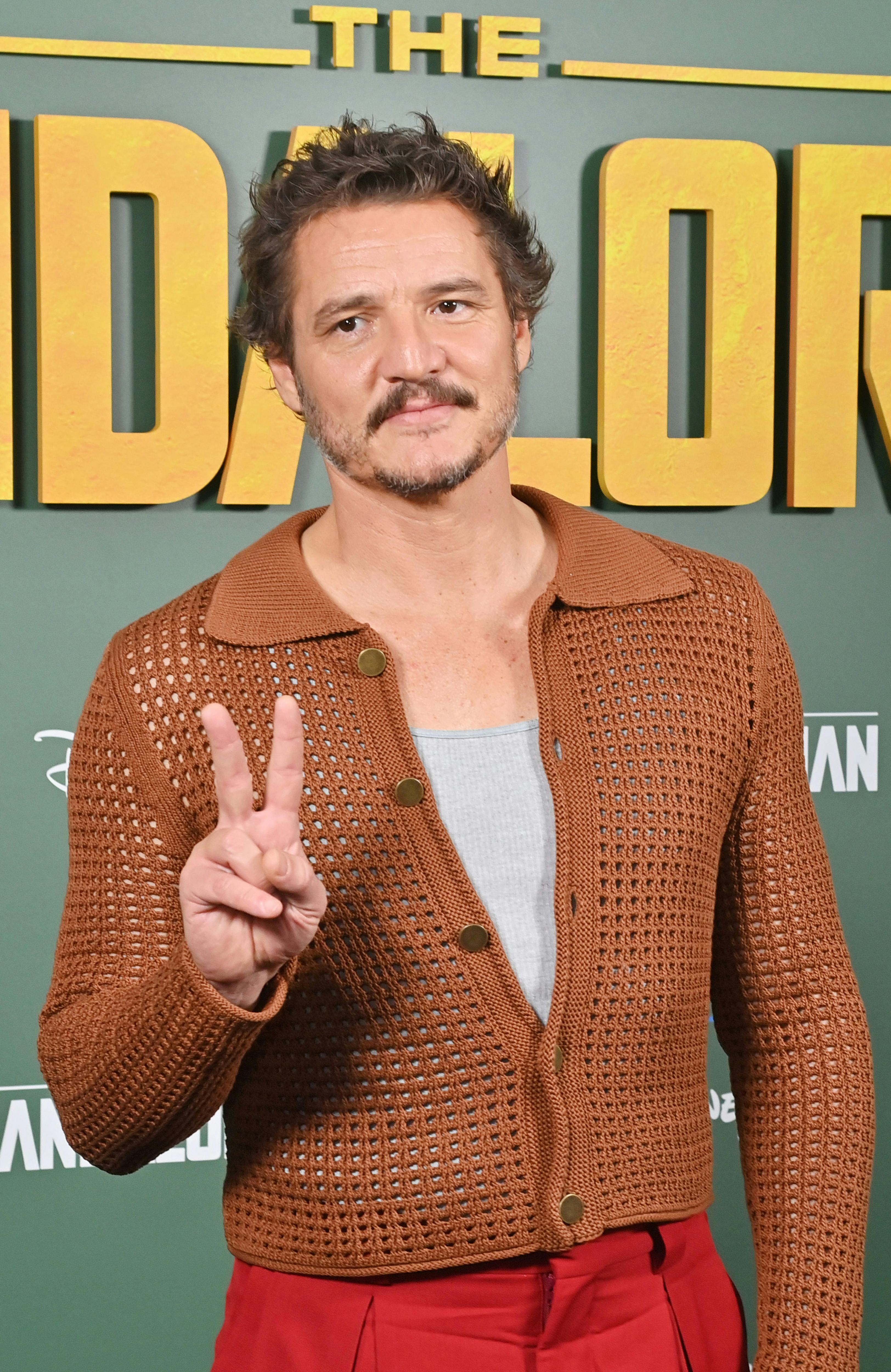 Pedro Pascal's 13 Daddiest Moments Ever