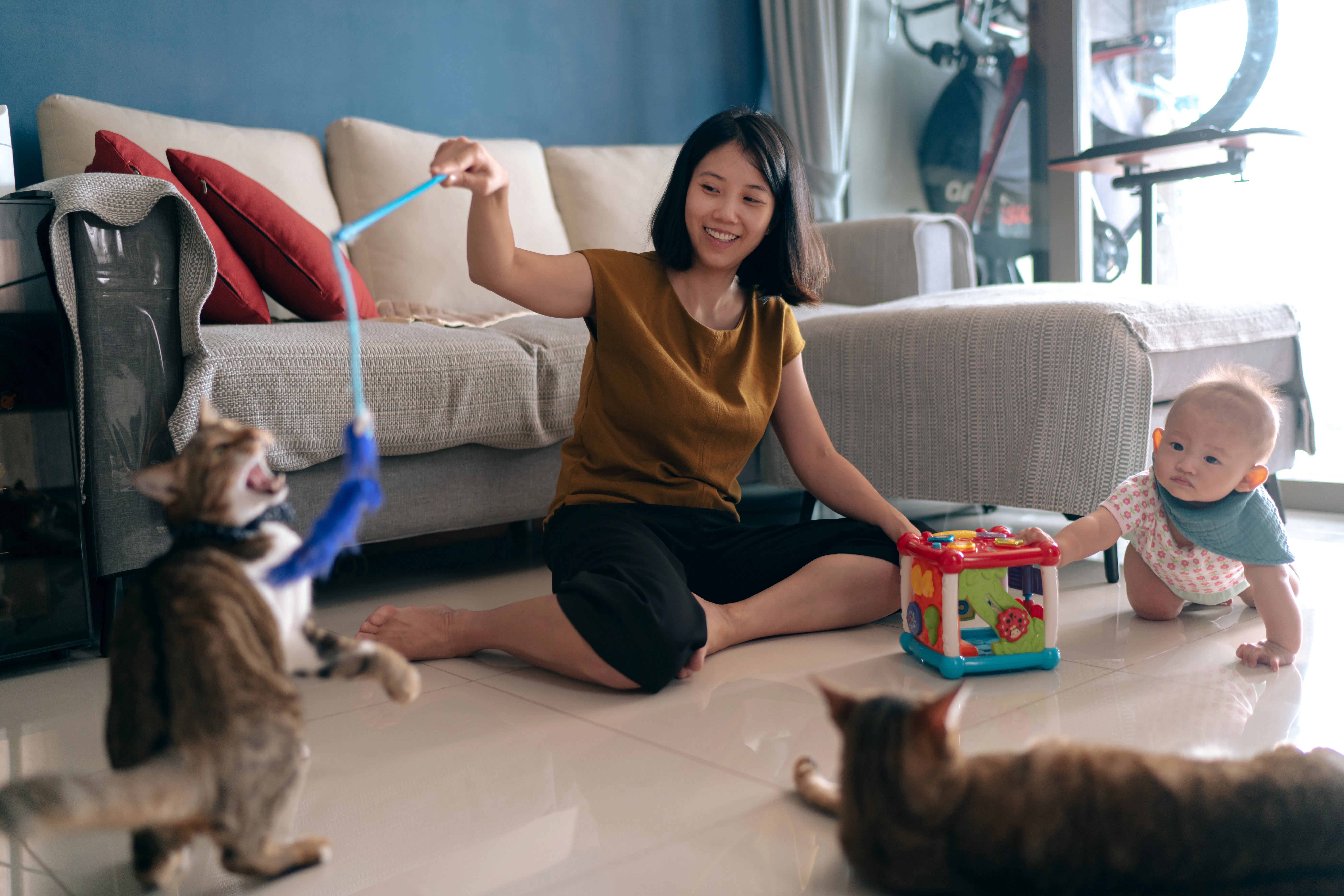 14 April Fools' Cat Pranks That Won't Scar Your Favorite Feline