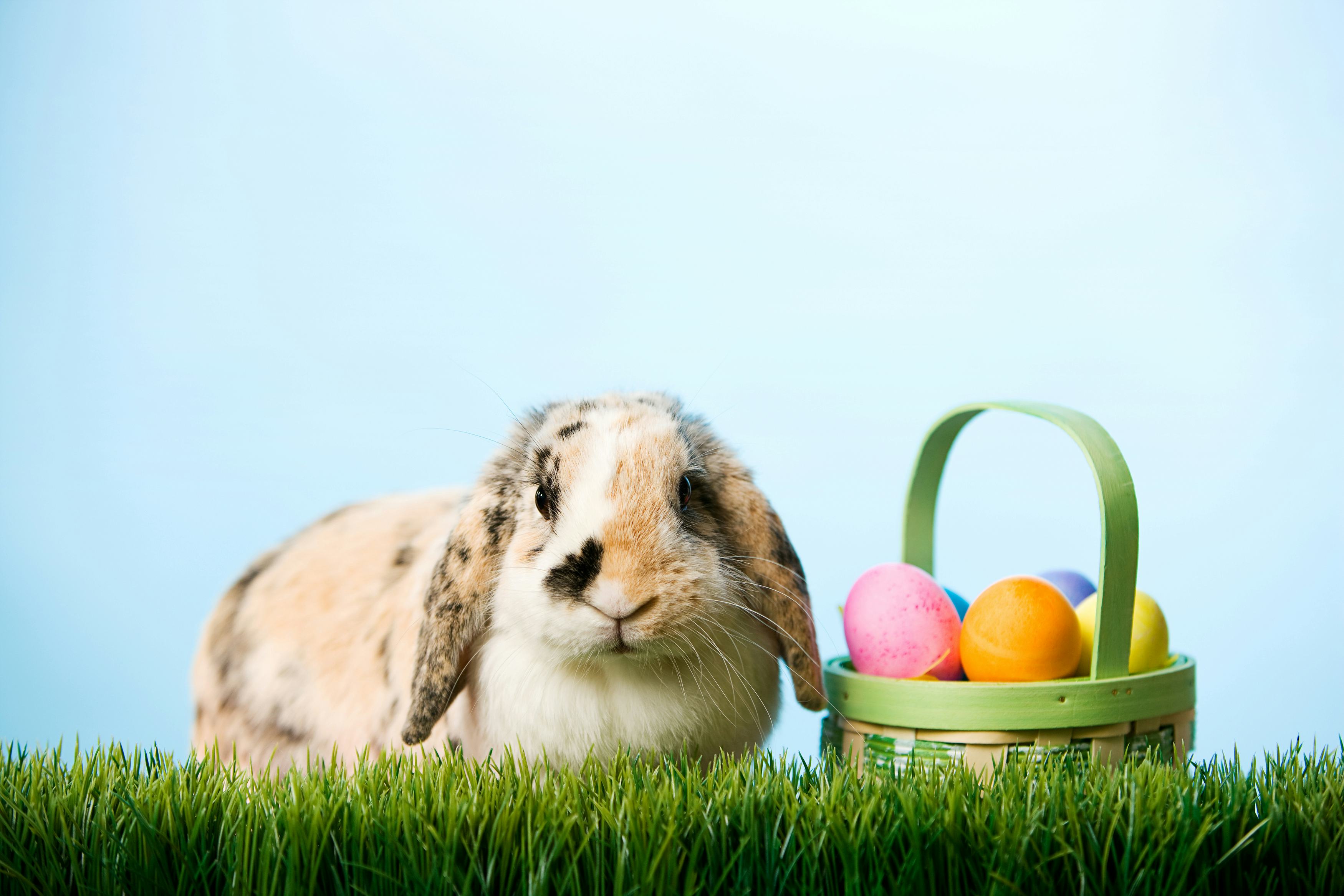 How To Explain Easter To A Child — Religious & Secular Meanings