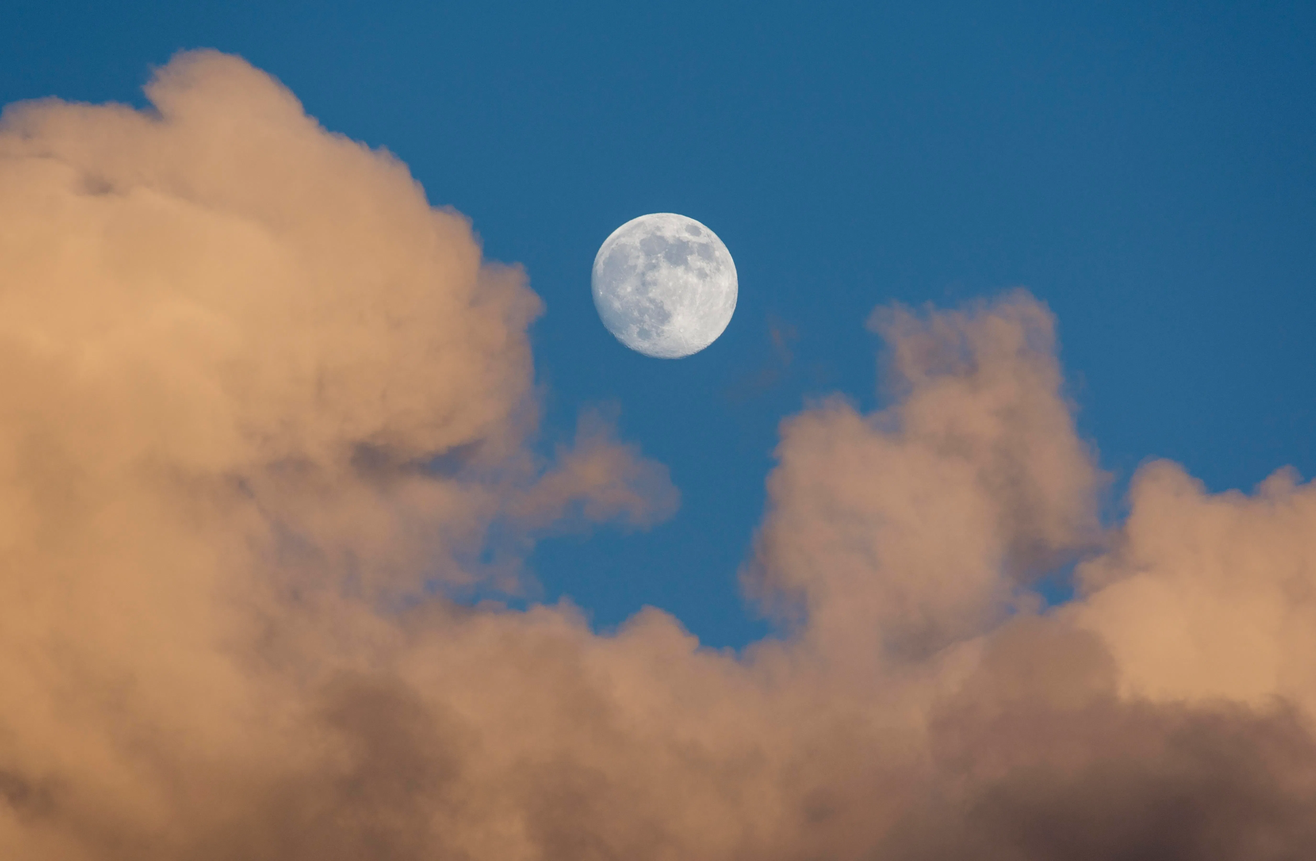 The June 2023 Full Strawberry Moon Will Affect 4 Signs Most