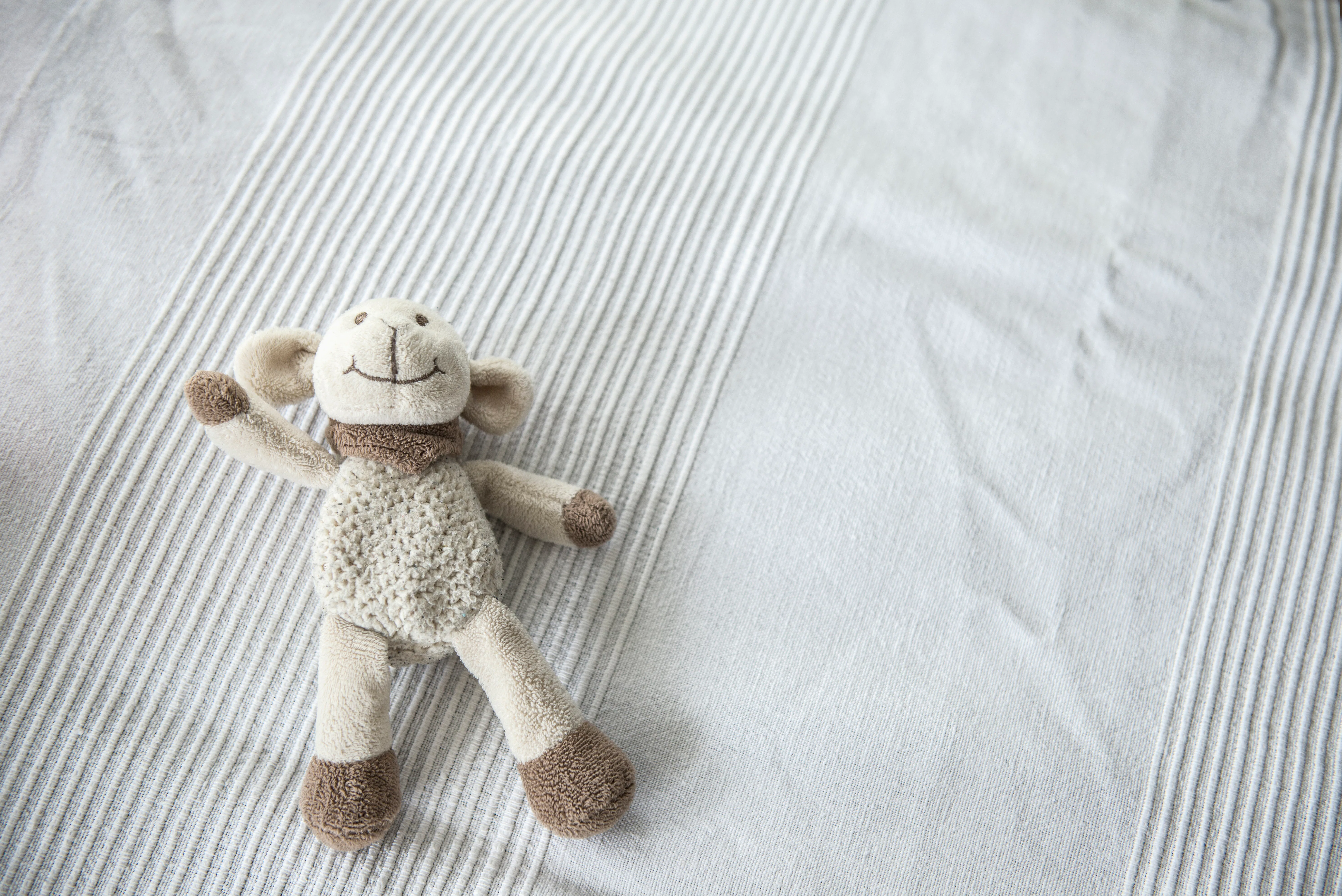 How Many Adults Still Sleep With Stuffies? Way More Than You Think