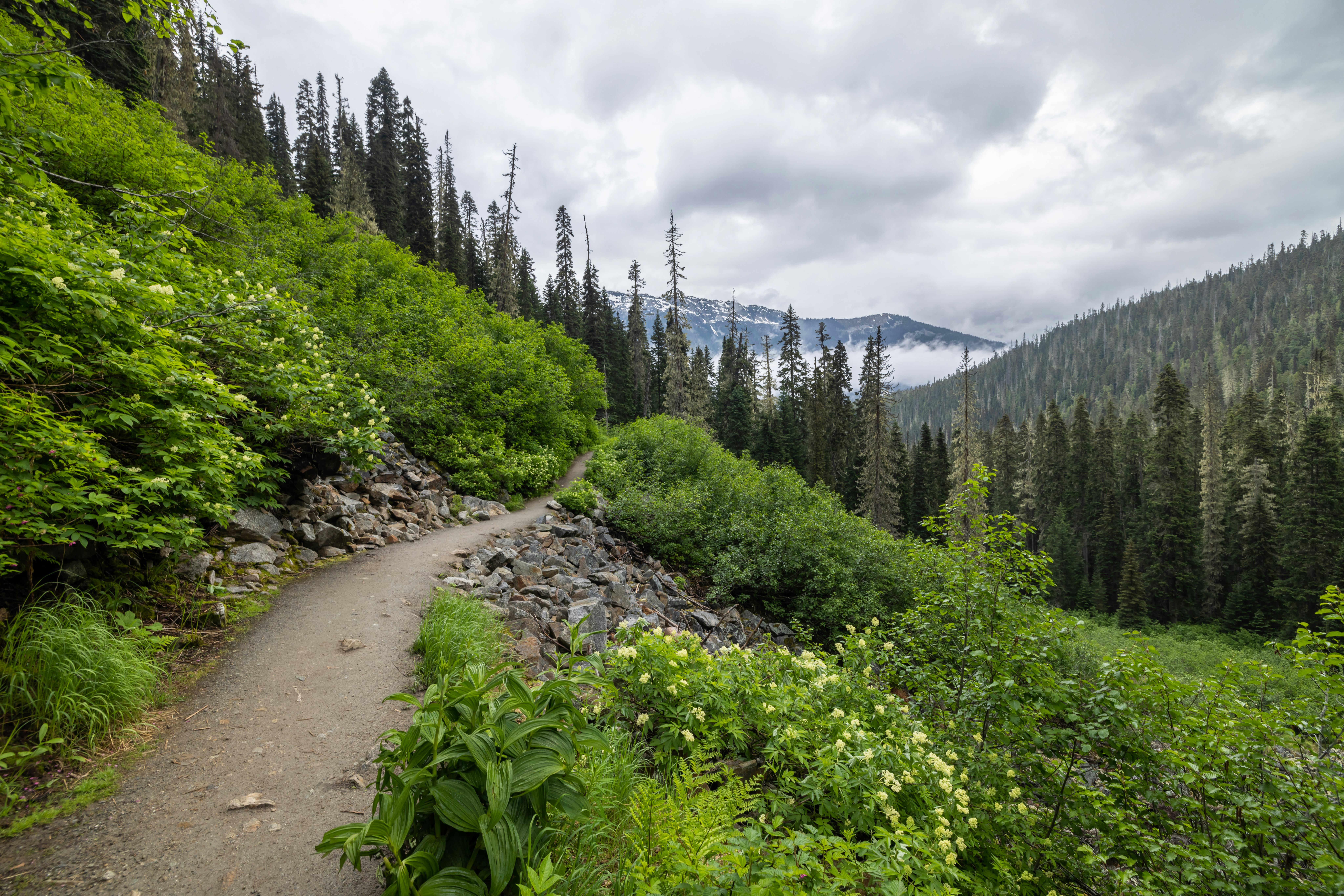 11 'Barkskins' Quotes About Family, Fate, And The Environment