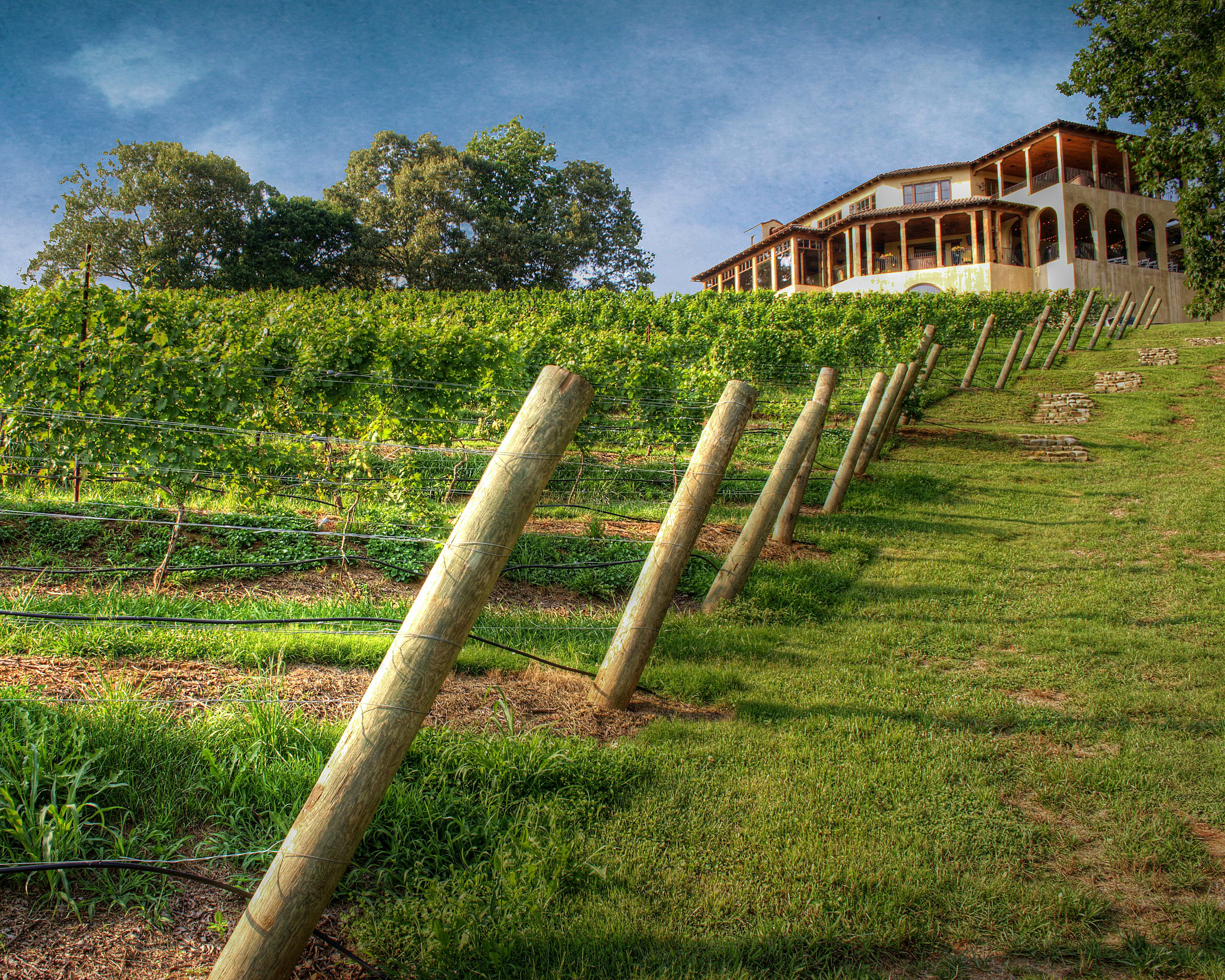 The Country Georgia Is The 'Cradle Of Wine' For Good Reason