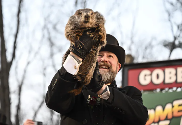 16 Groundhog Day Facts To Share With Your Kids About Punxsutawney Phil ...