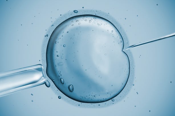 Alabama Supreme Court Rules Frozen Embryos Are Children