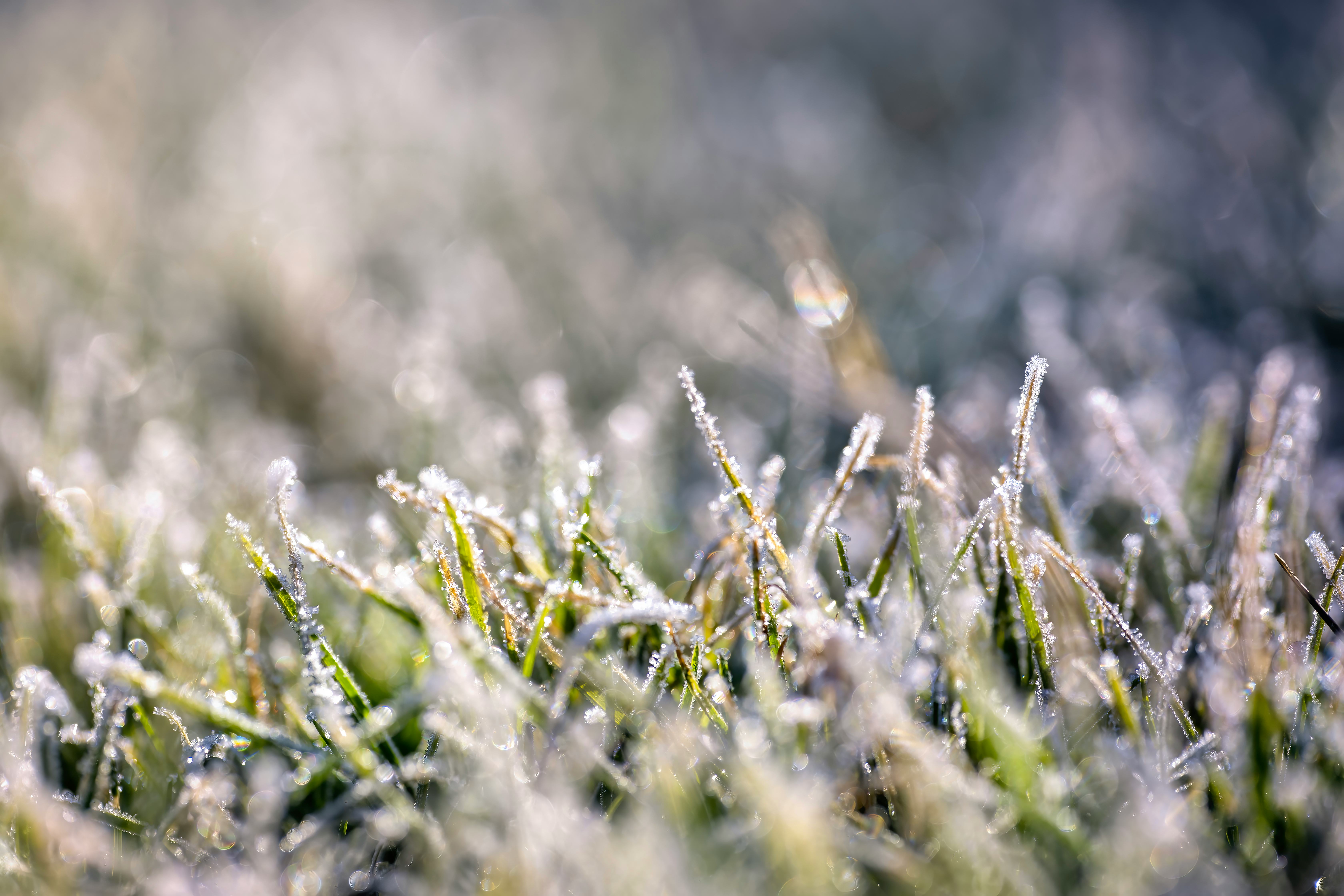 15 End-Of-Winter Quotes That Will Make You Excited For Spring