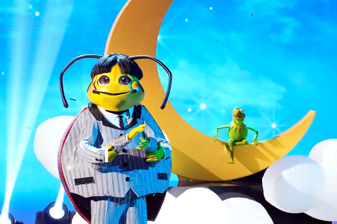 'The Masked Singer': The Most Outrageous Celebrity Reveals