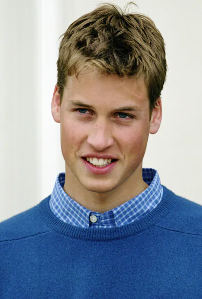 Prince William Talks About The "Harry Potter" Scar He Got As A Kid