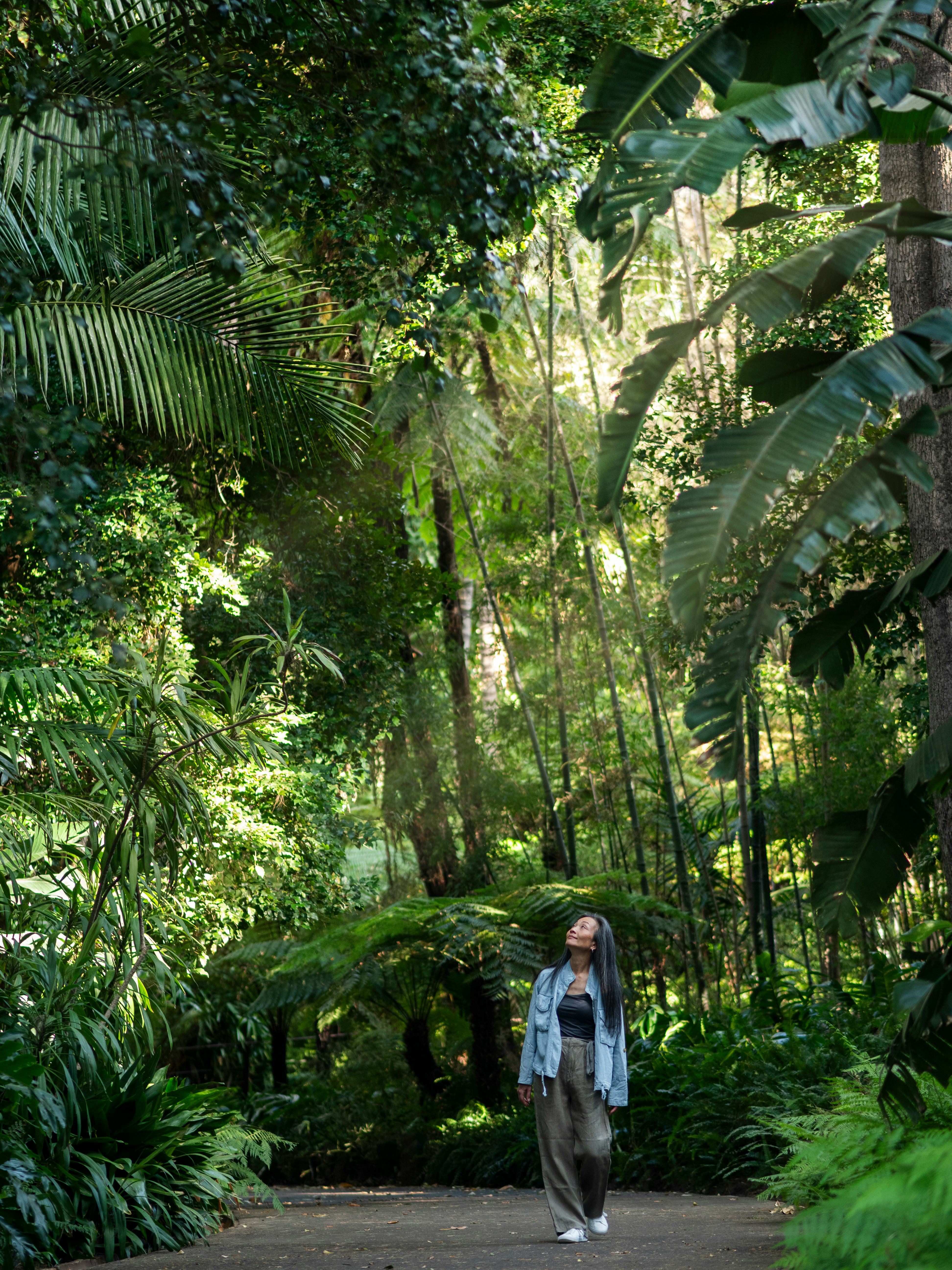 These Forest Bathing Destinations Are A Shortcut To Inner Peace