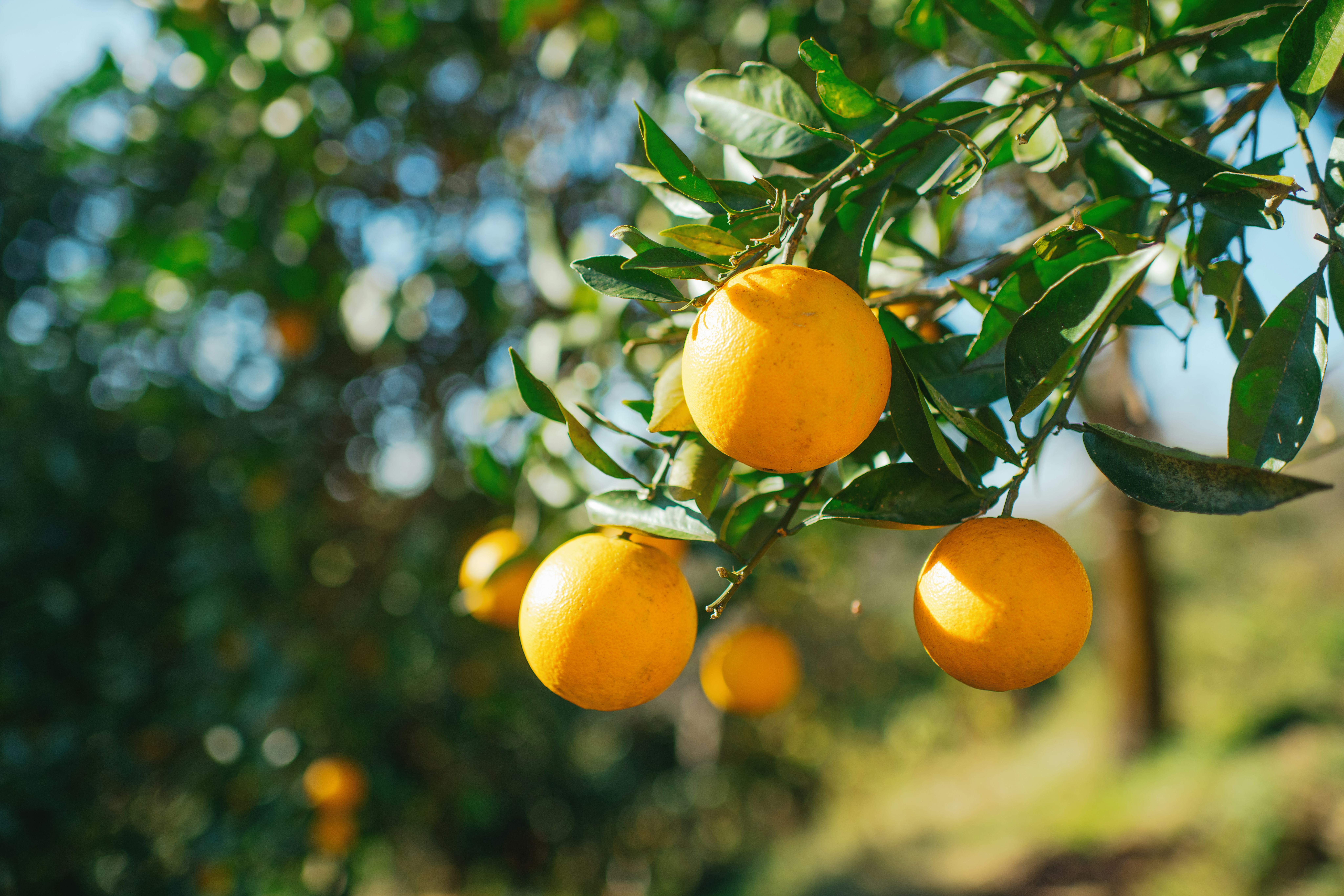 5 Foods That Will Boost Your Mood And Bust Stress Naturally