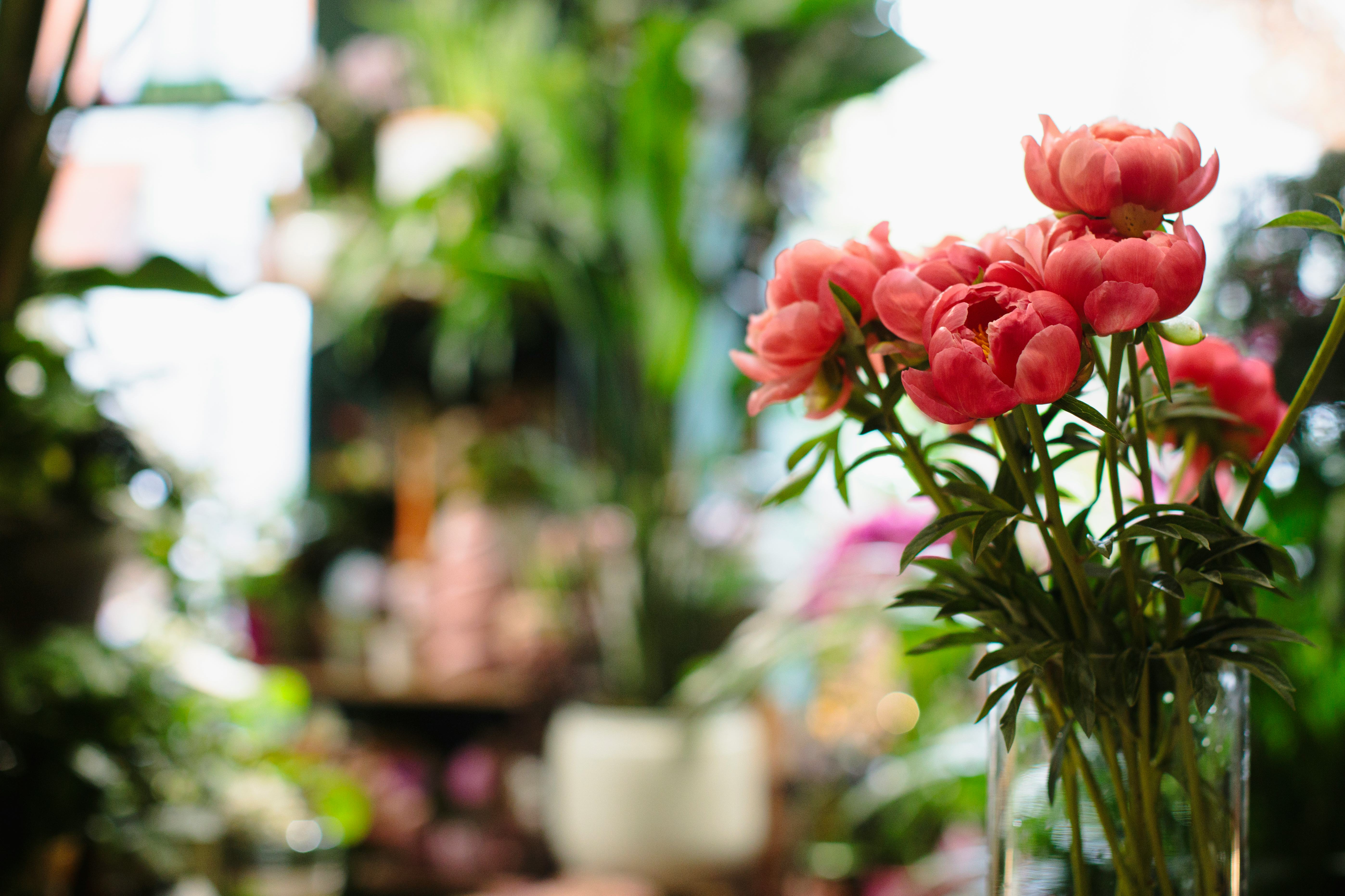 9 Old-Fashioned Gifts People Used To Give That We Should Bring Back