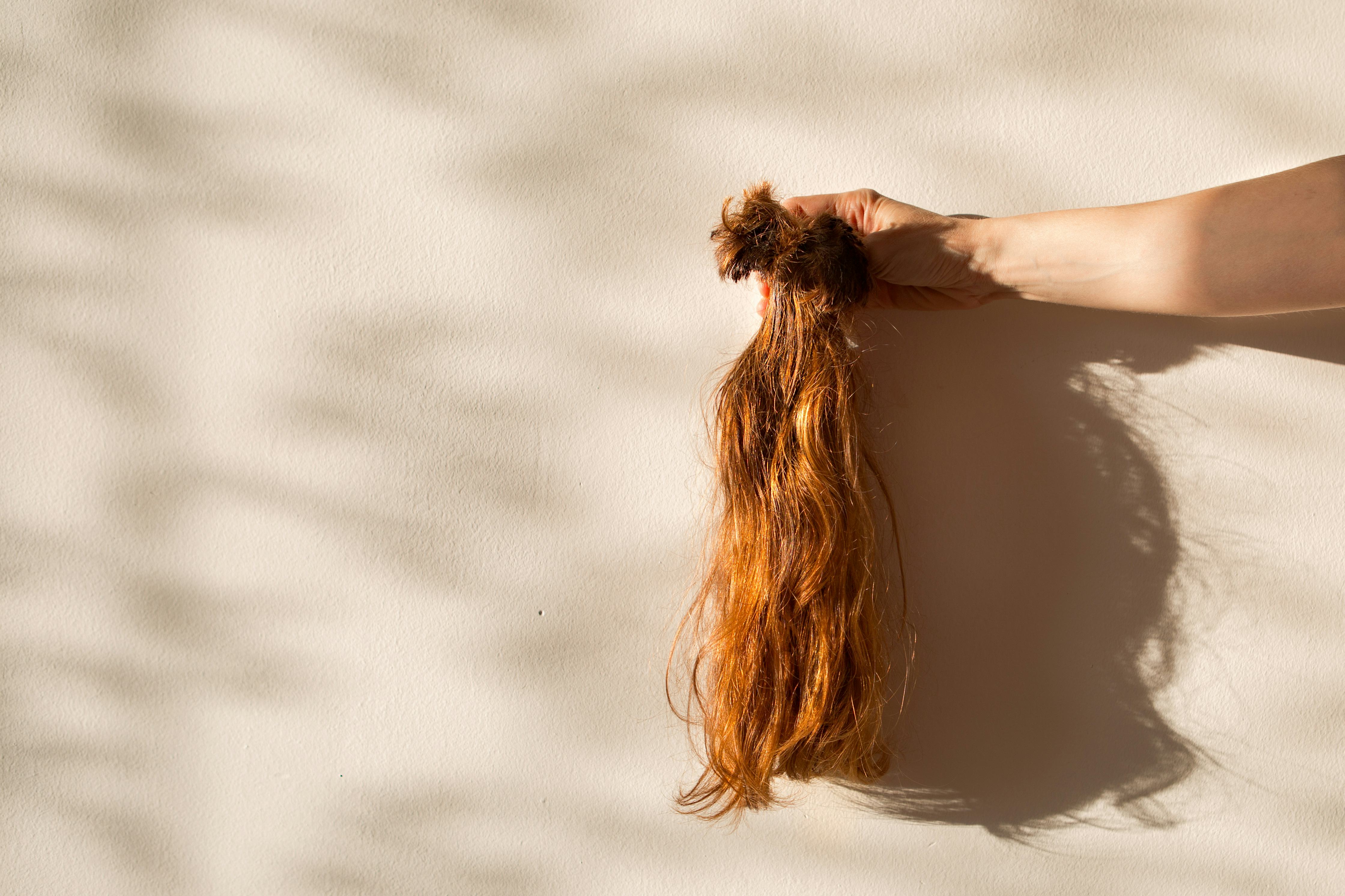 Does Hair Hold Trauma? Experts Weigh In On The Viral Topic