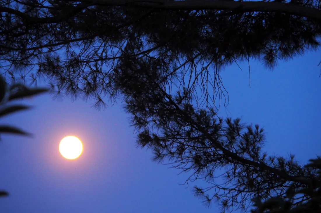August 19’s Full Sturgeon Moon Manifestation Ideas