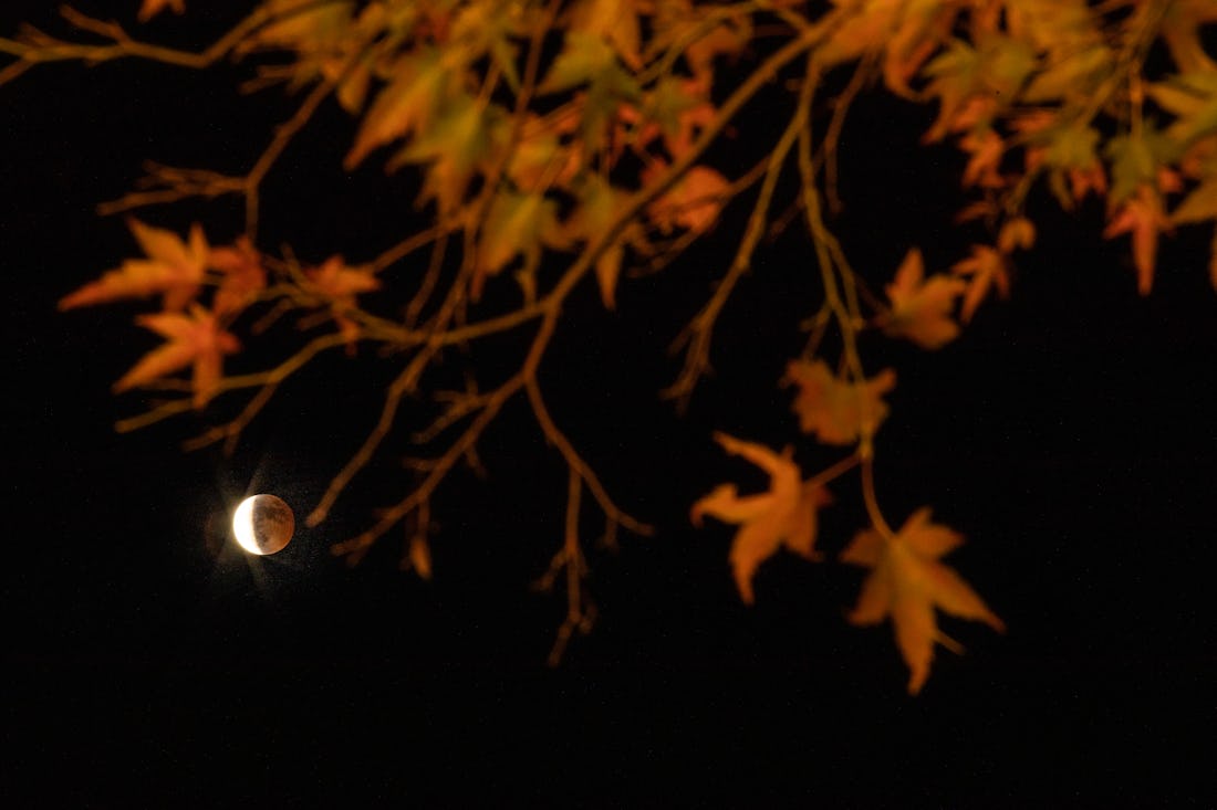 Why Eclipse Season October 2024 Is Especially Powerful