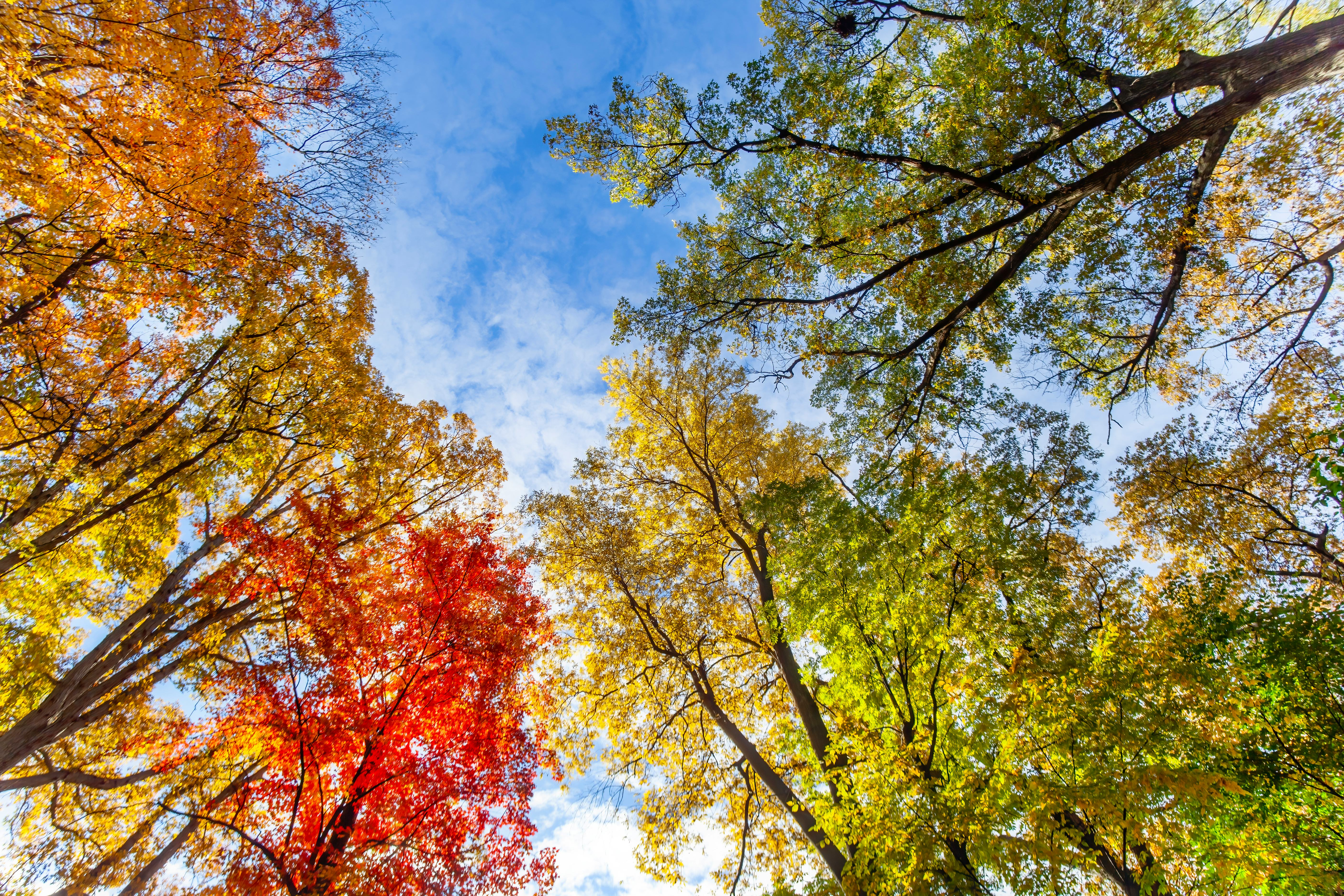 13 Literary Quotes About Fall To Get You Excited That The Season Is ...