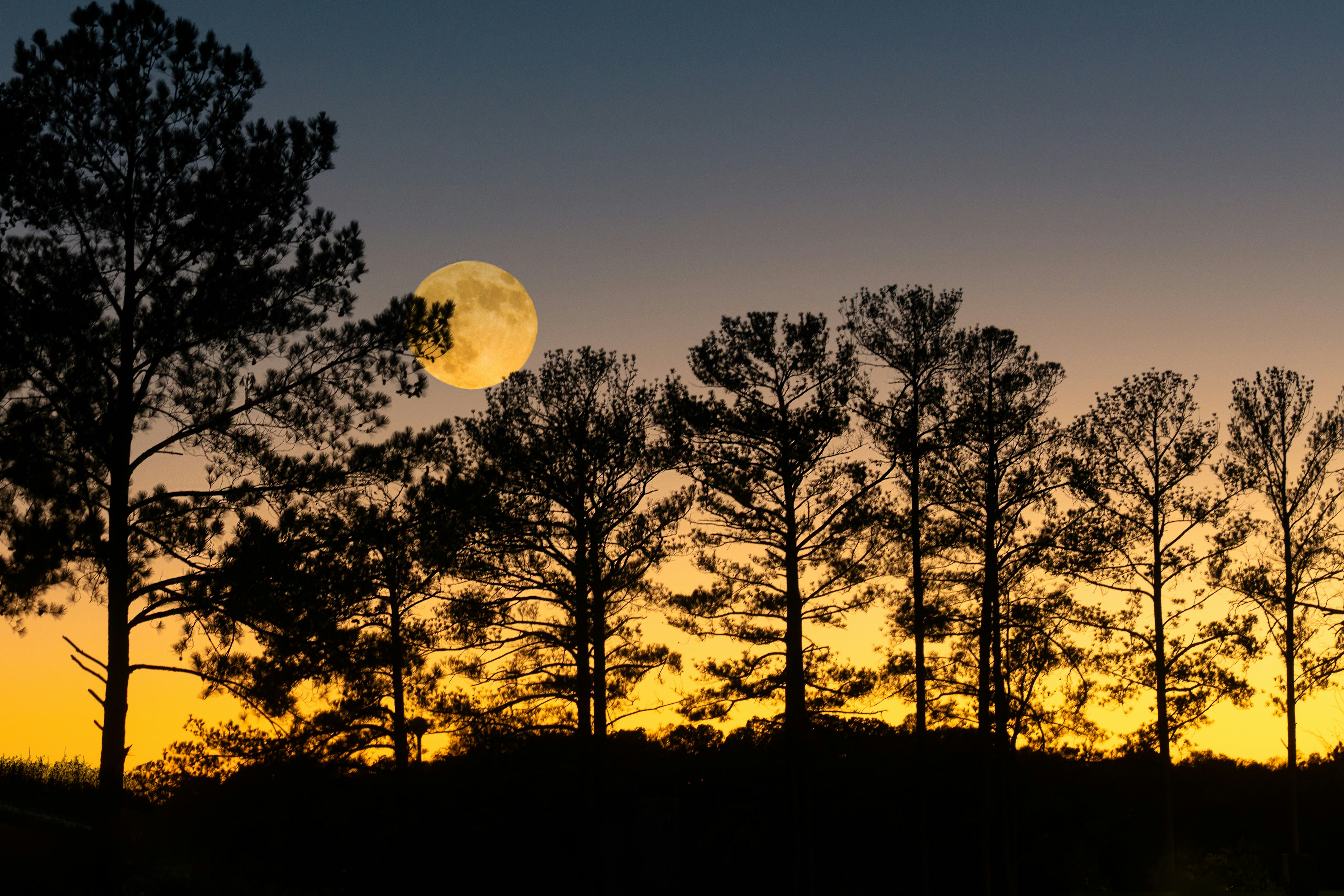 The October 6, 2025 Full Harvest Moon's Spiritual Meaning