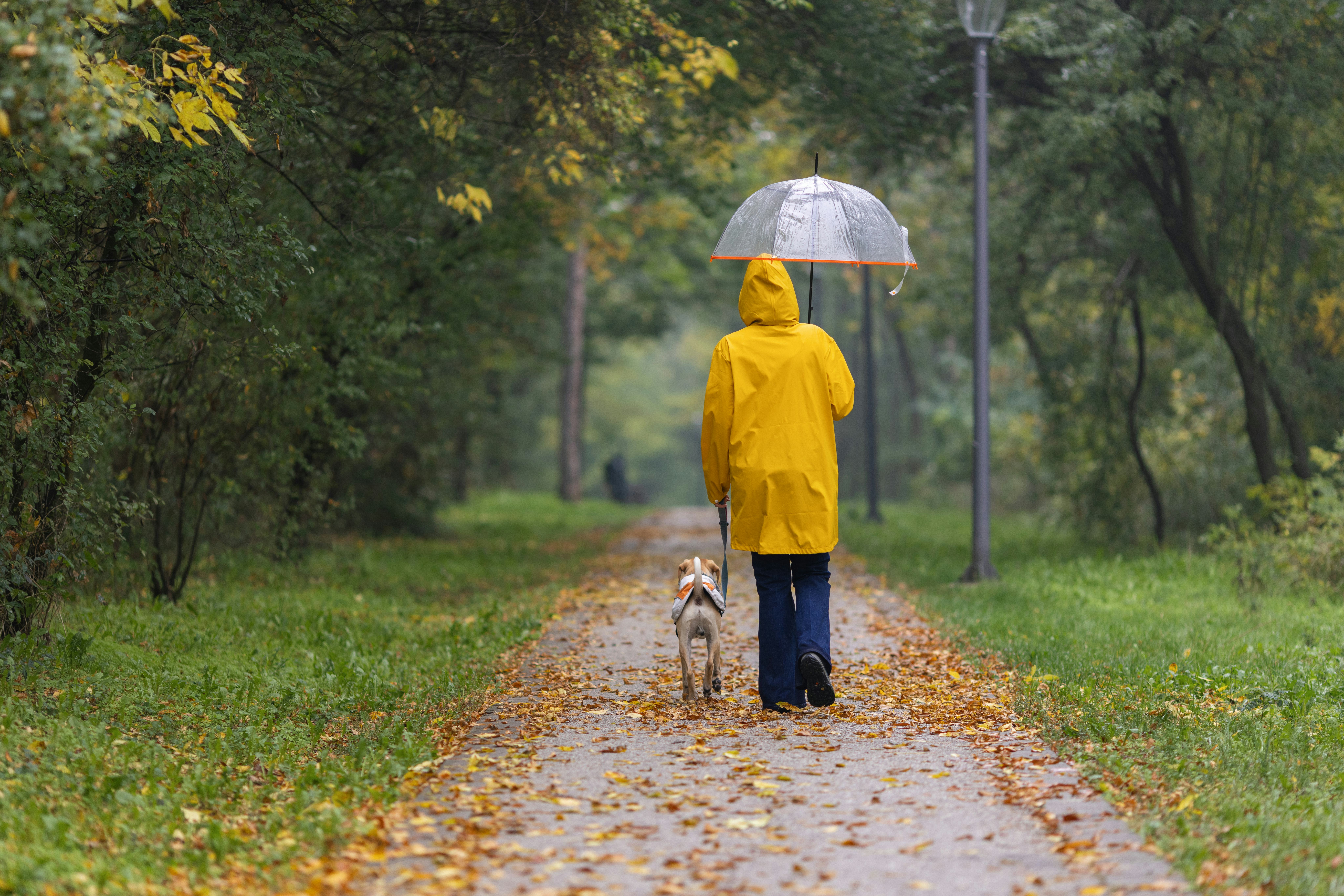 The “6-6-6 Walking” Trend Is The Routine You’ll Actually Keep