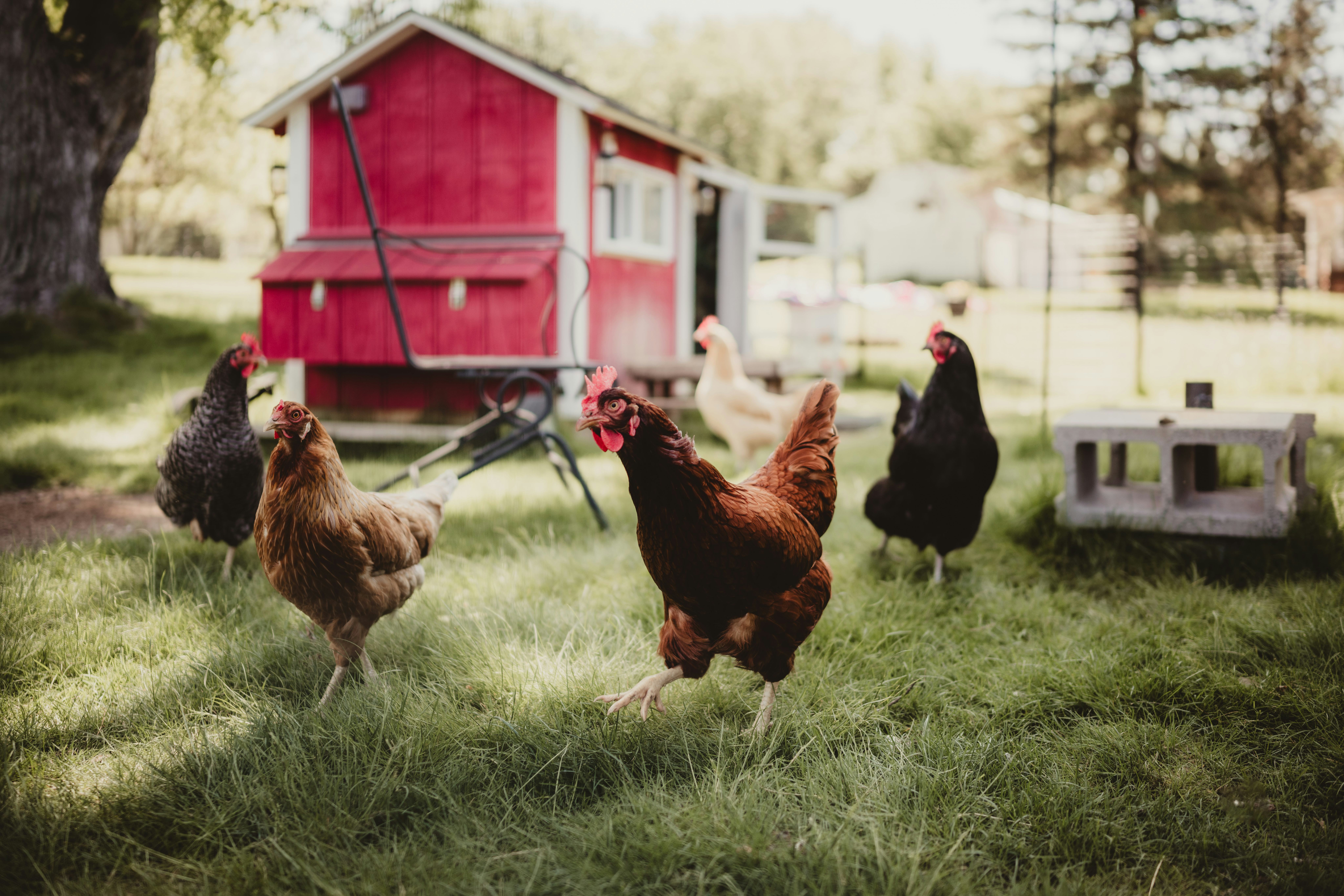 80 Brain Teasers & Answers For Adults & Kids